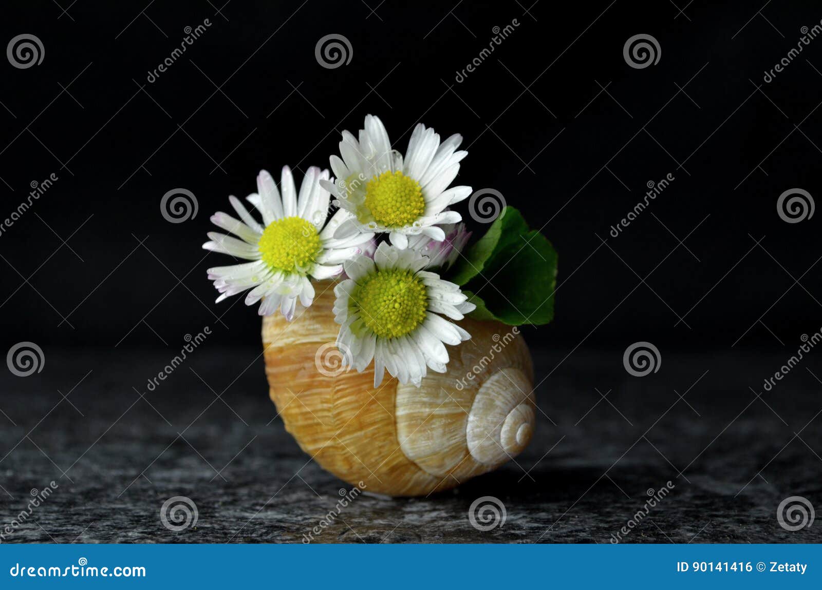 Small flowers composition stock photo. Image of color - 90141416