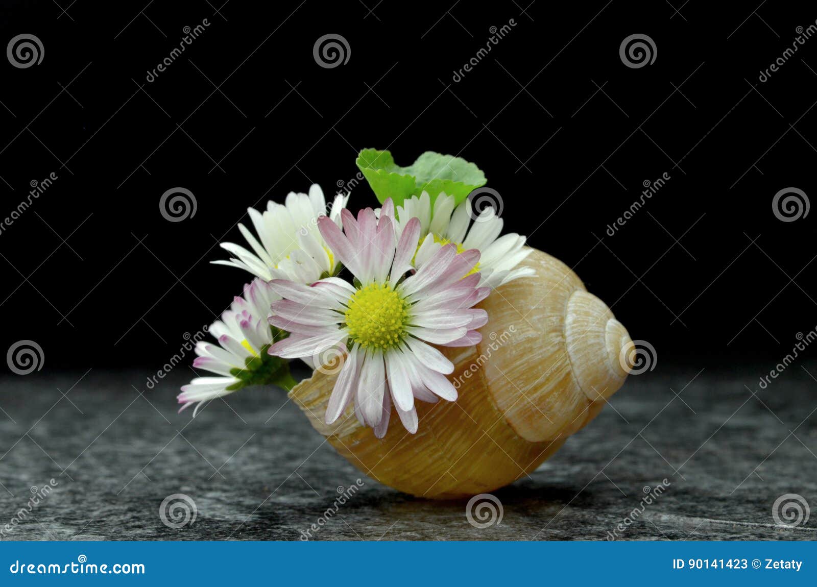 Small flowers composition stock image. Image of blue - 90141423