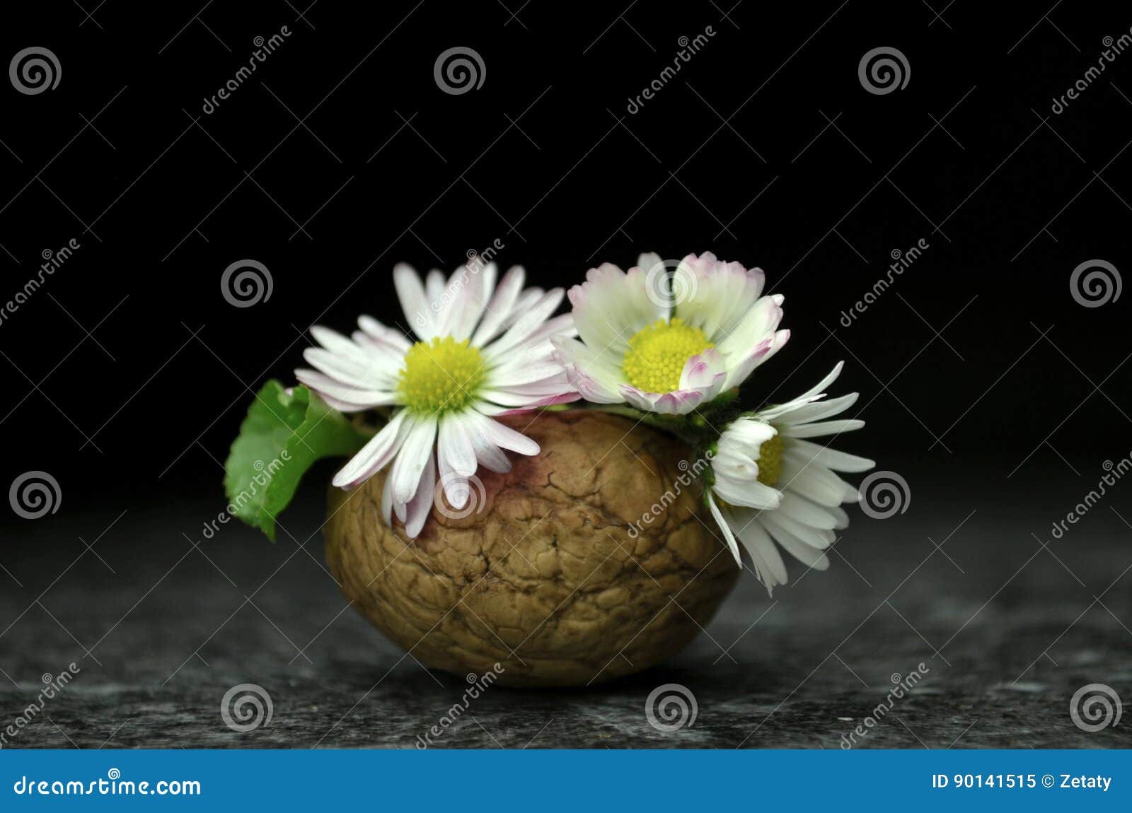 Small flowers composition stock image. Image of forest - 90141515