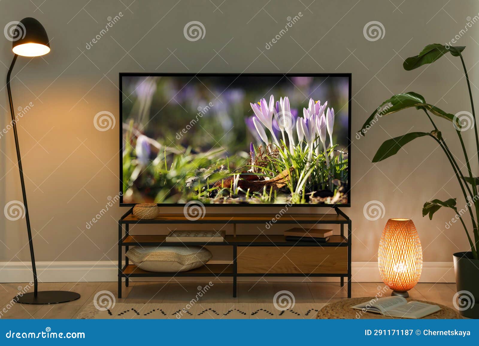 Small Flowers on TV Screen in Room Stock Image - Image of frame ...