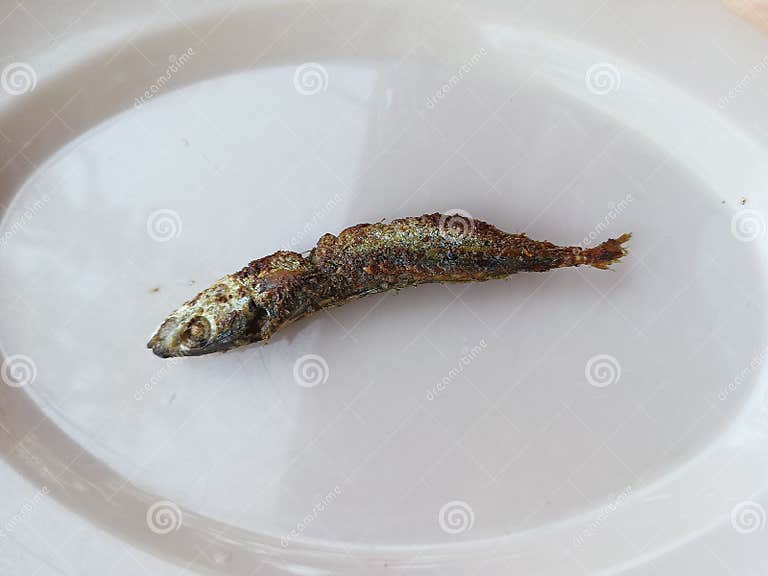 A Small Flying Fish that Has Been Fried for Breakfast, Which is Kept on ...