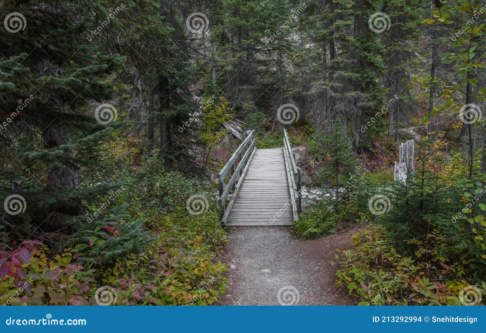 Small Foot Bridge in the Middle of Yoho National Park in Canada Stock ...