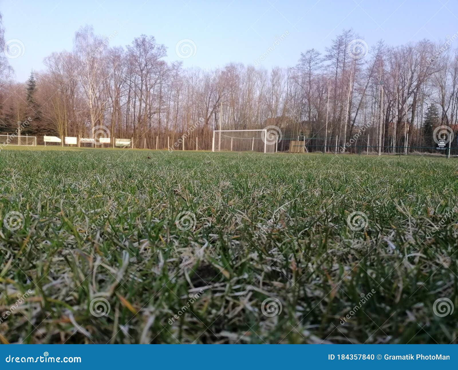 A small football field stock photo. Image of plant, field - 184357840