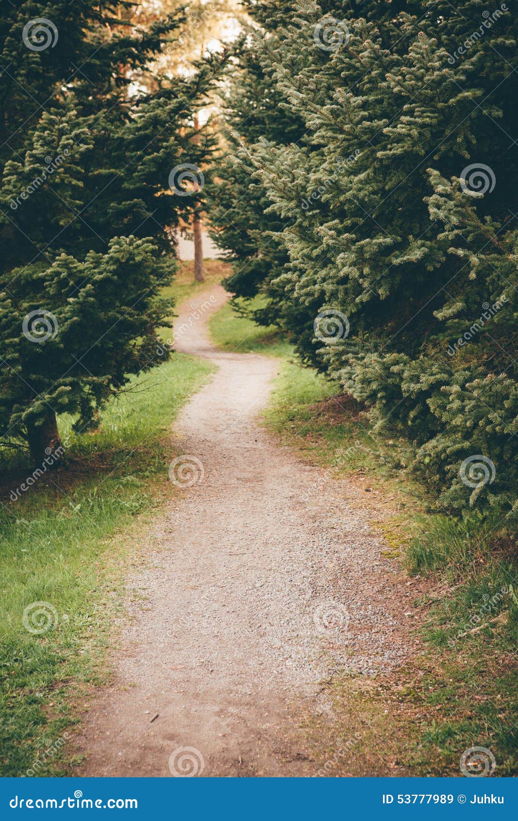 Small footpath in park stock image. Image of scenic, grass - 53777989