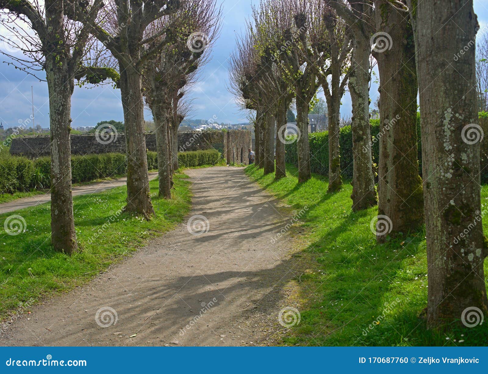 Small Footpath with Trees on Both Sides Stock Photo - Image of scenery ...