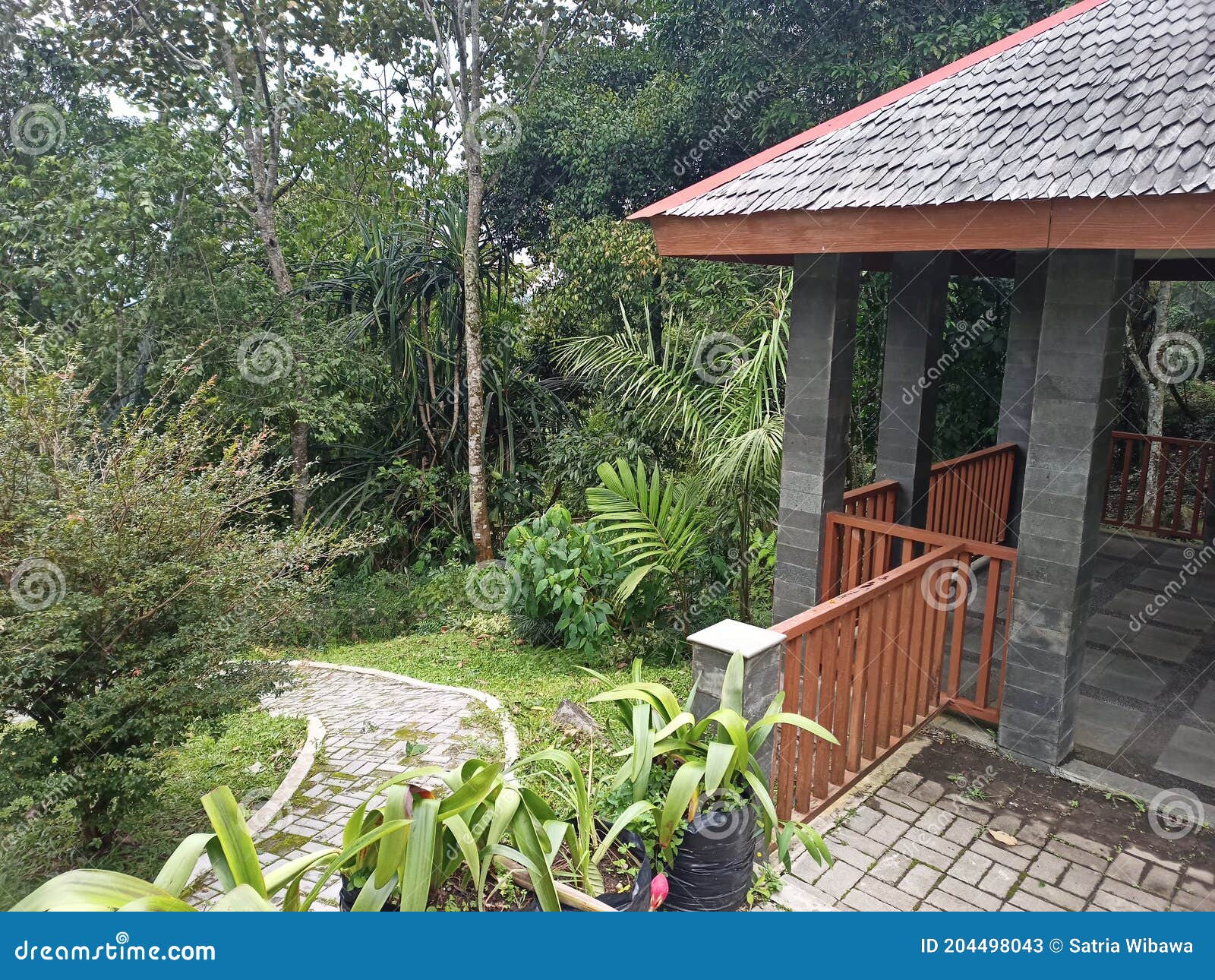 A Small Forest in the Front Yard of the Cotage Stock Image - Image of ...