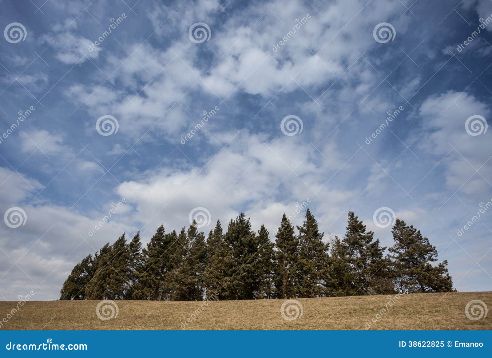 Small forest on hill stock image. Image of national, mountains - 38622825
