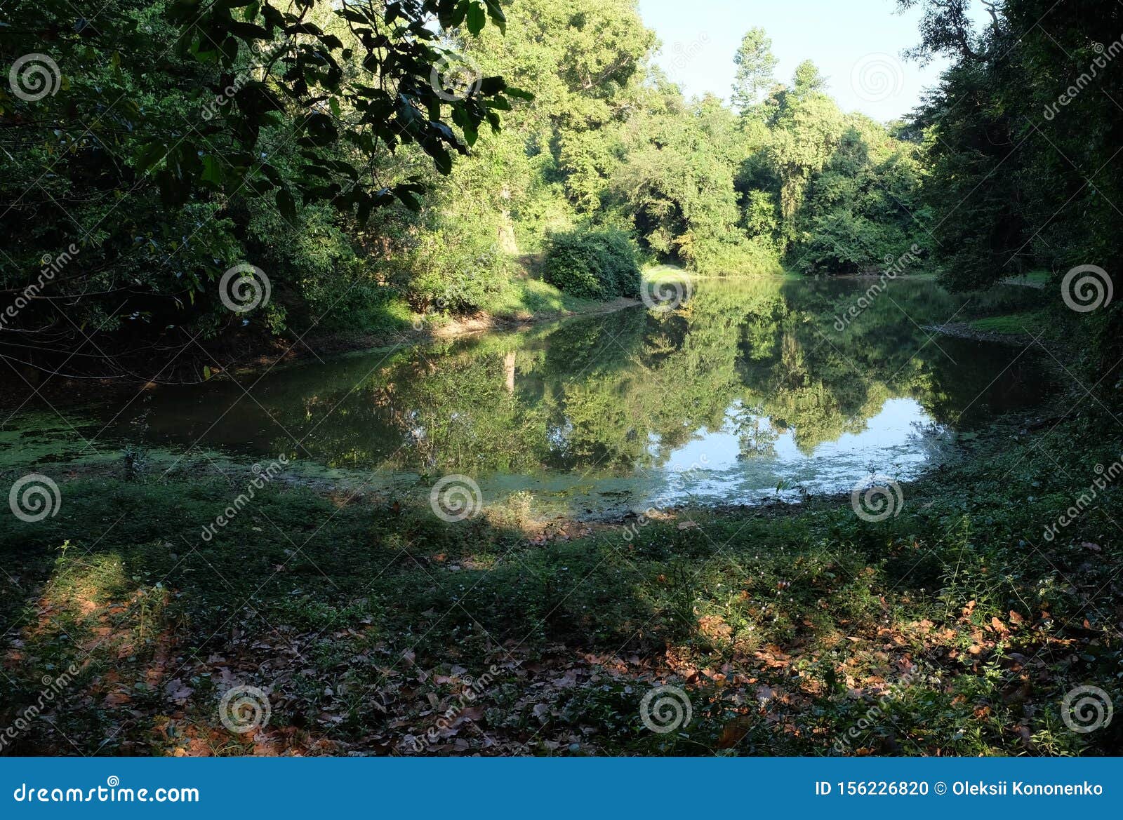 Small Forest Lake. Forest Landscape Stock Photo - Image of forests ...