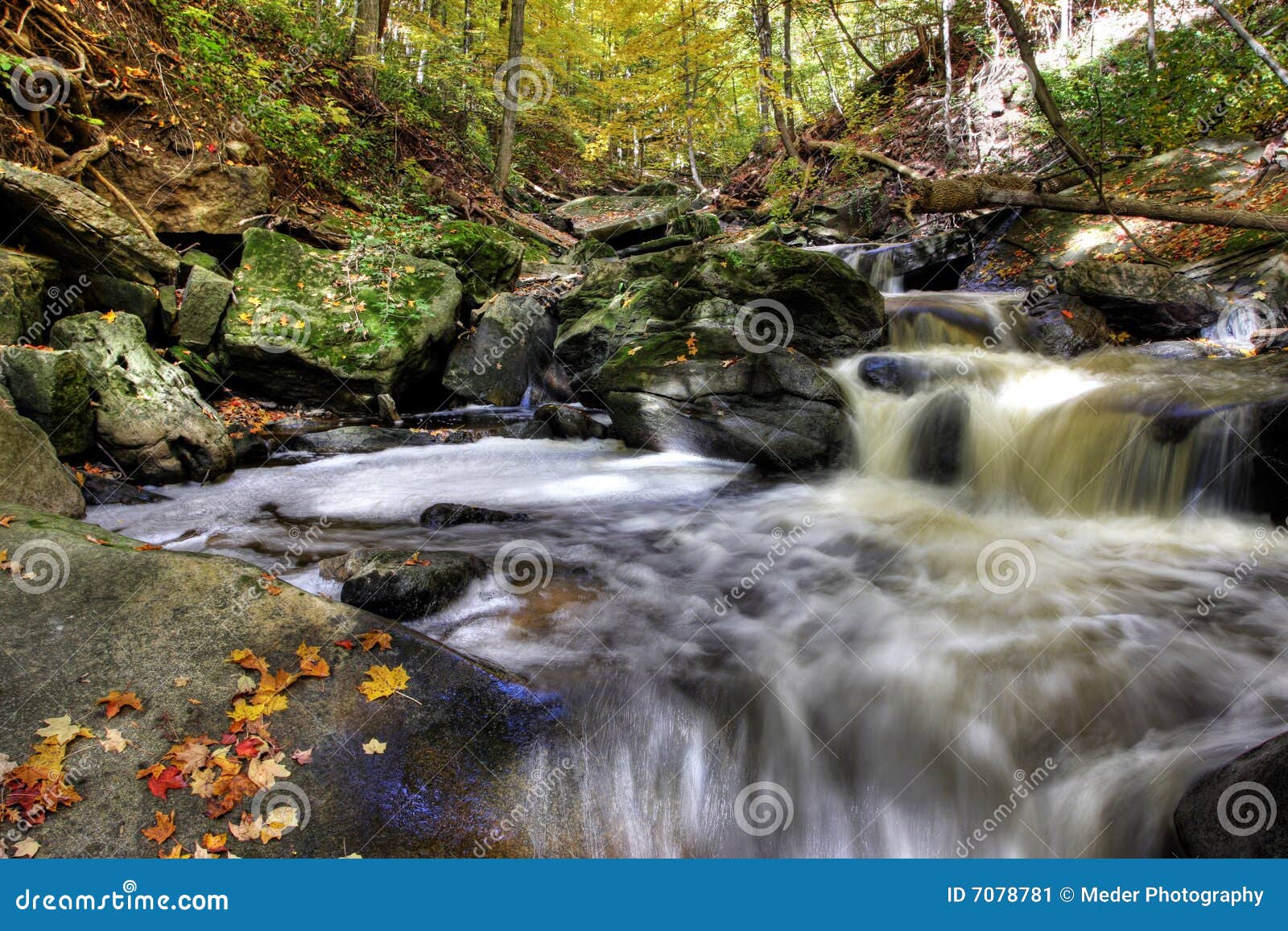Small forest river stock image. Image of landscape, creek - 7078781