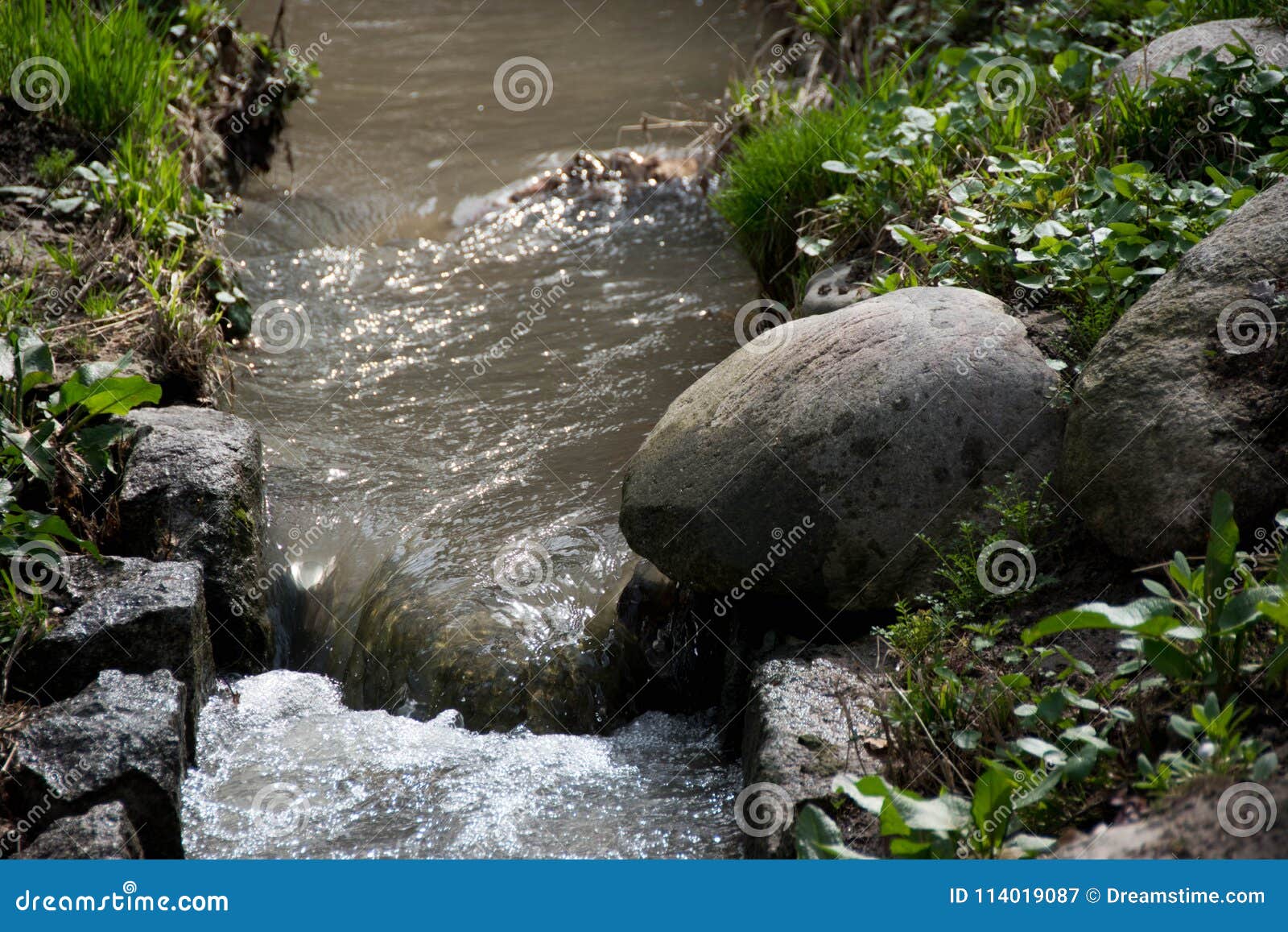 A small forest rivulet stock image. Image of grasses - 114019087
