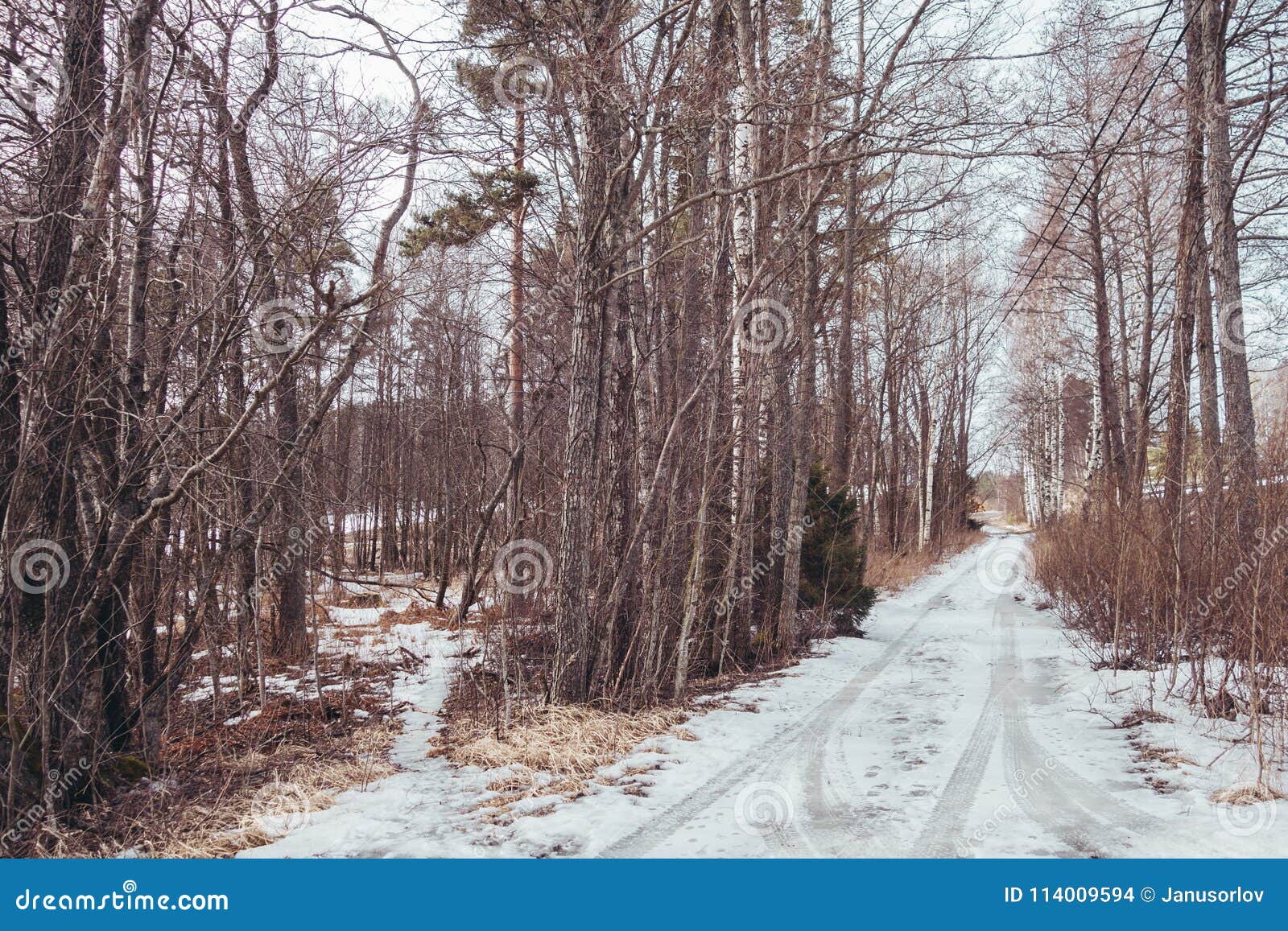 Small Forest Road in Winter with Snow Melting Stock Photo - Image of ...