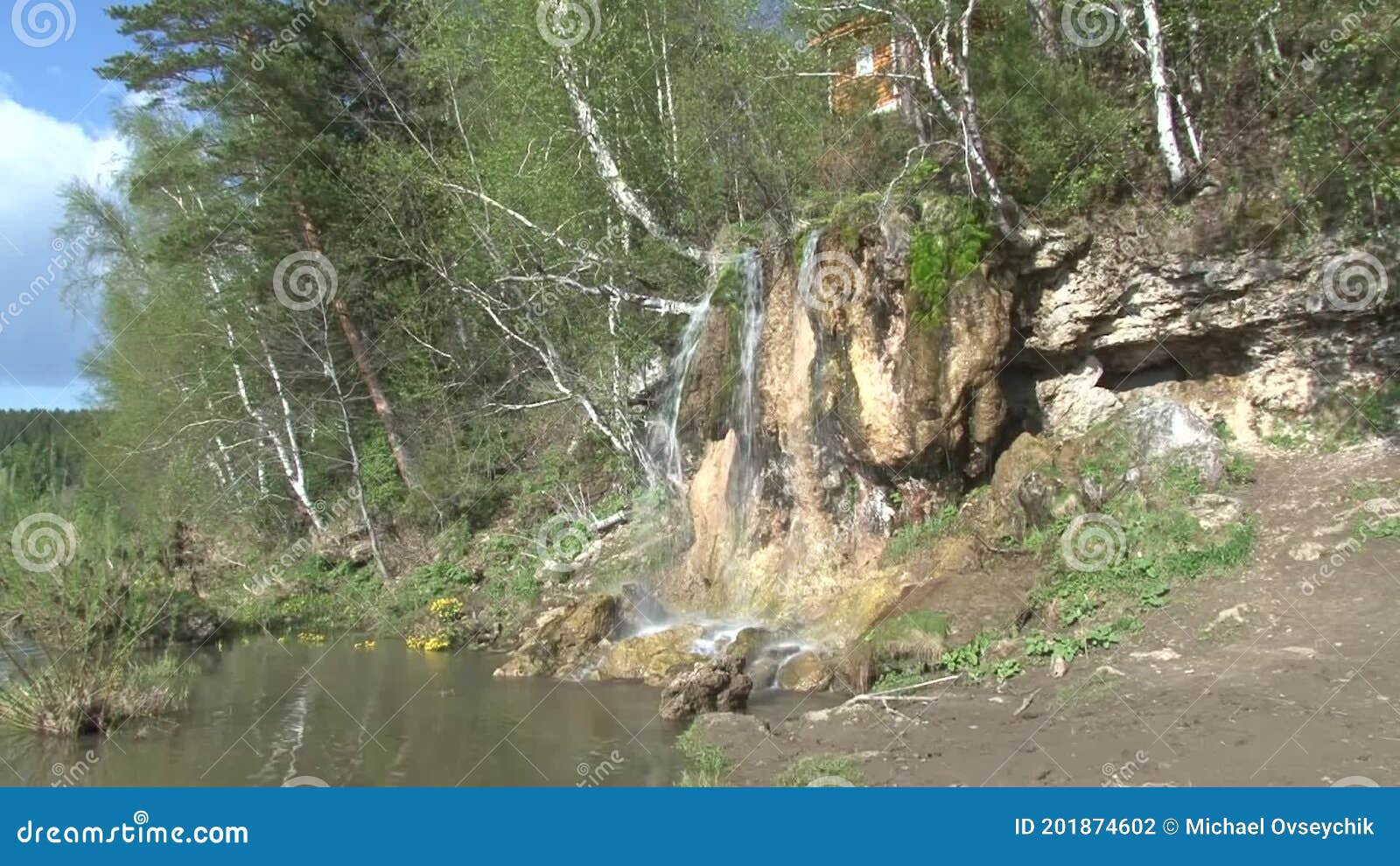 A Small Forest Waterfall Falls from a Stone Cliff. Stock Footage ...
