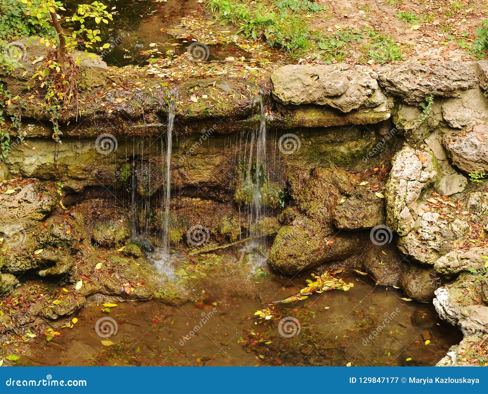 A Small Forest Stream Flows Down from Rocks Like a Small Waterfall on ...