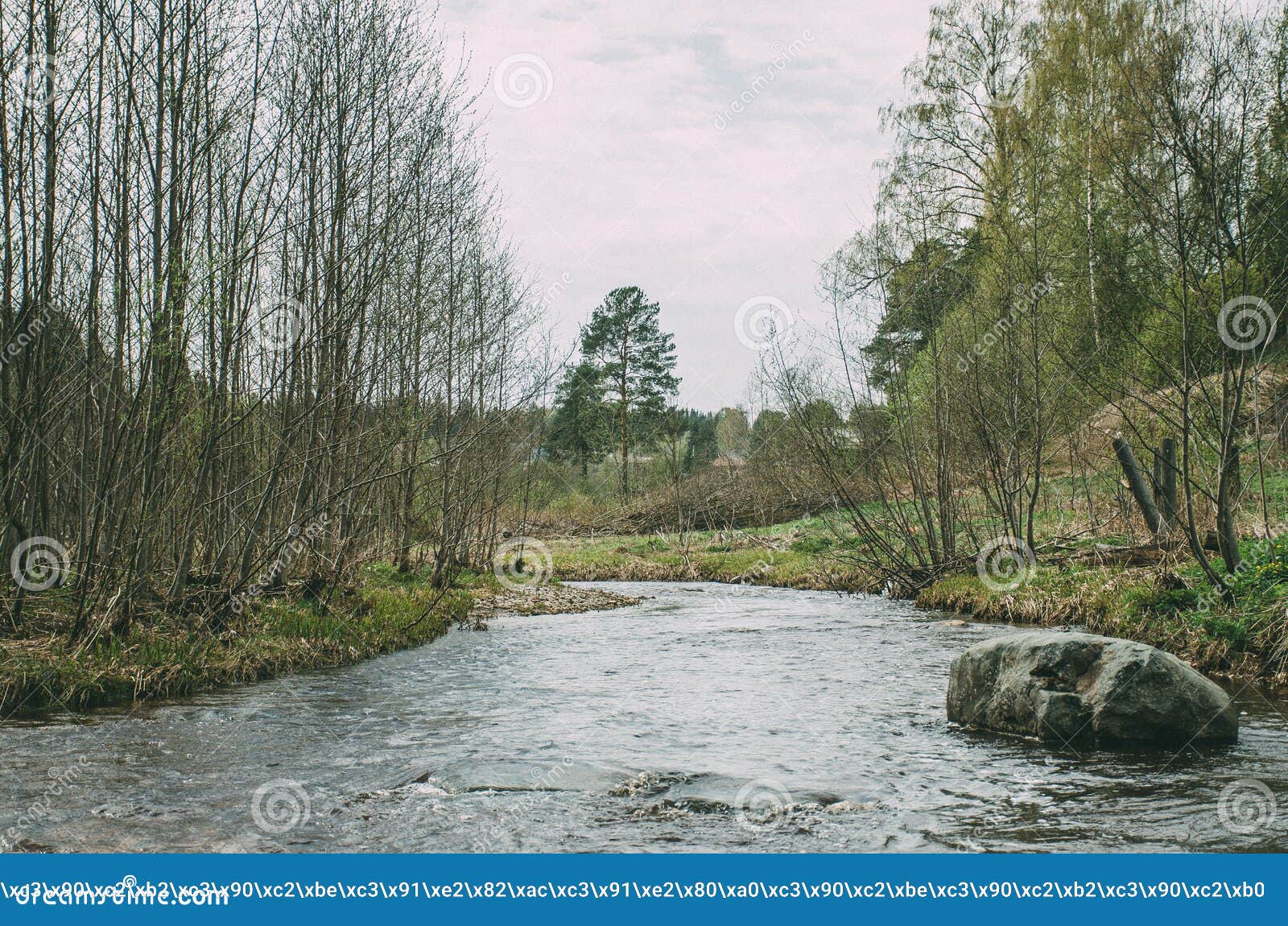 A Small Forest Stream with Rocks Stock Photo - Image of reservoir ...