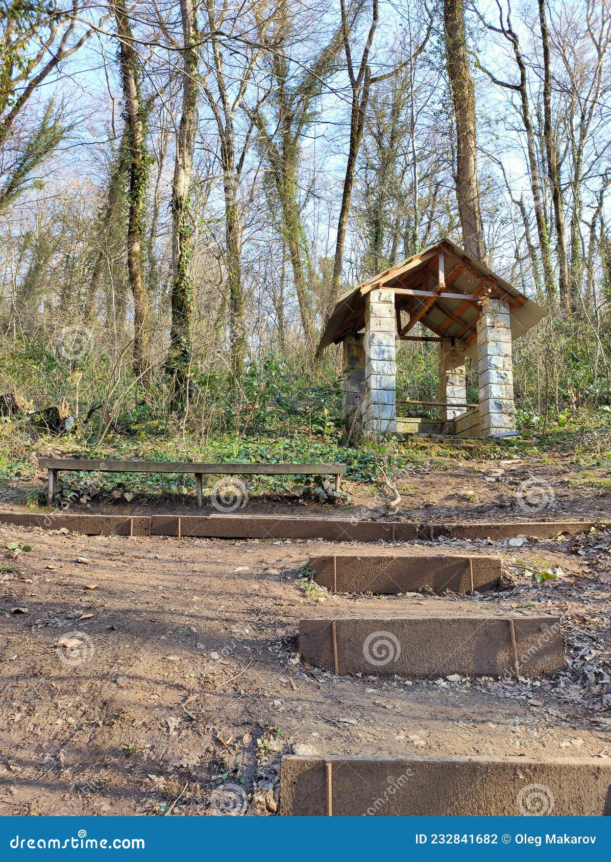 Small Forest Temple Well among the Trees Stock Photo - Image of small ...