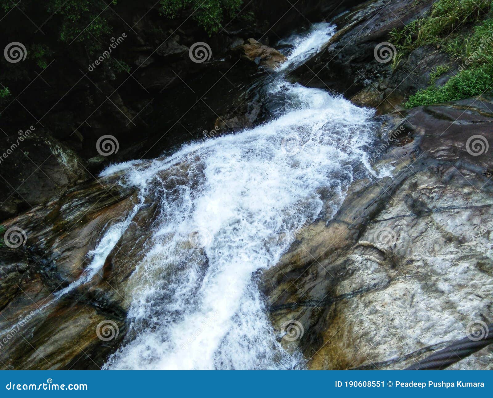 Small Forest Water Stream with Rock Stock Image - Image of mountain ...