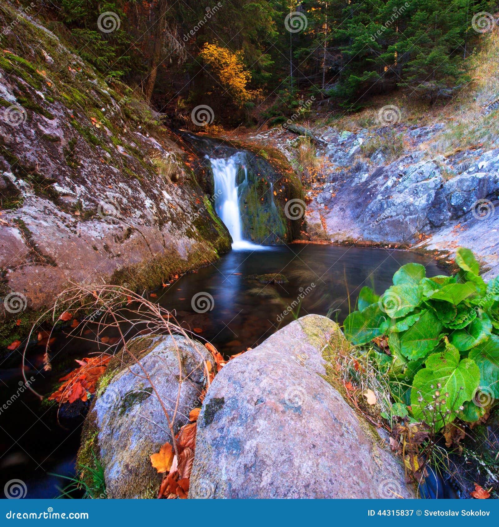 Small Forest Waterfall in Deep Forest Stock Image - Image of moist ...