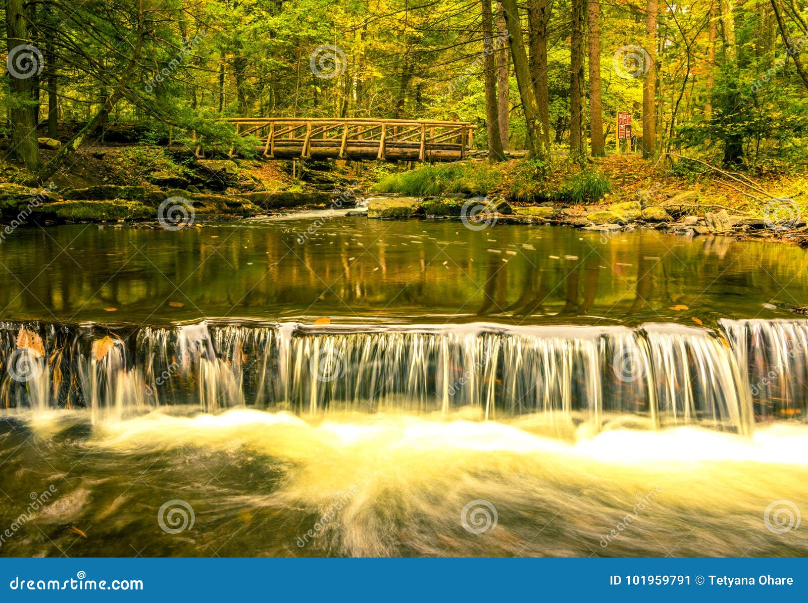 33,122 Small Forest Waterfall Stock Photos - Free & Royalty-Free Stock ...
