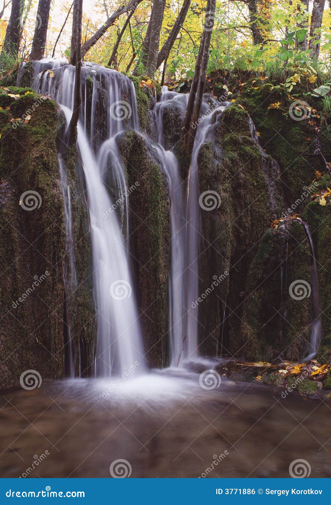 Small forest waterfalls stock photo. Image of outdoors - 3771886