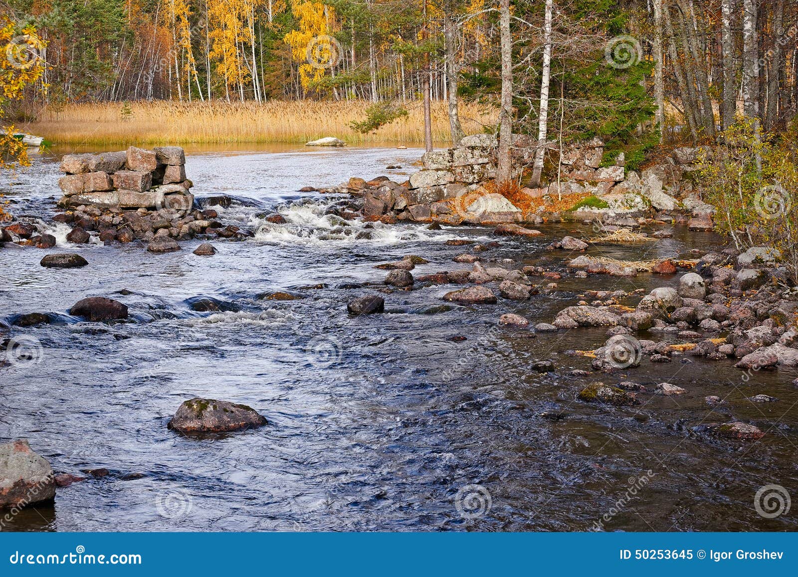 Small forst waterfall stock image. Image of forest, landscape - 50253645