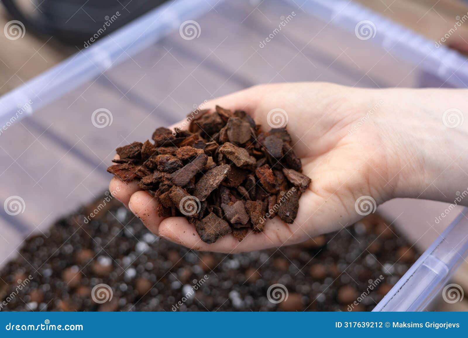Small Fraction Pine Bark Compost Substrate Medium in Hand for Planting ...
