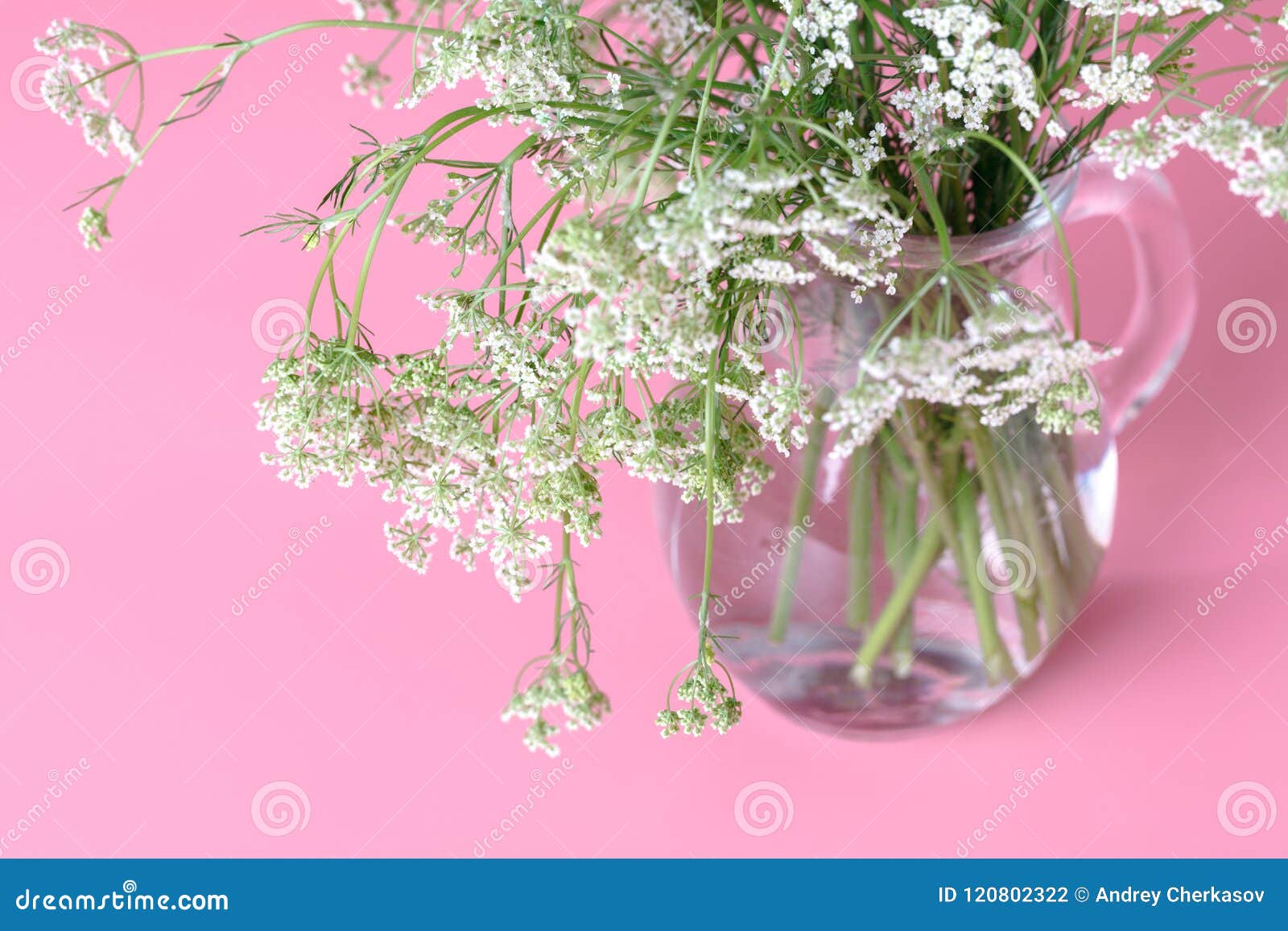 Small and Fragrant Spring Flowers Stock Photo - Image of floral ...