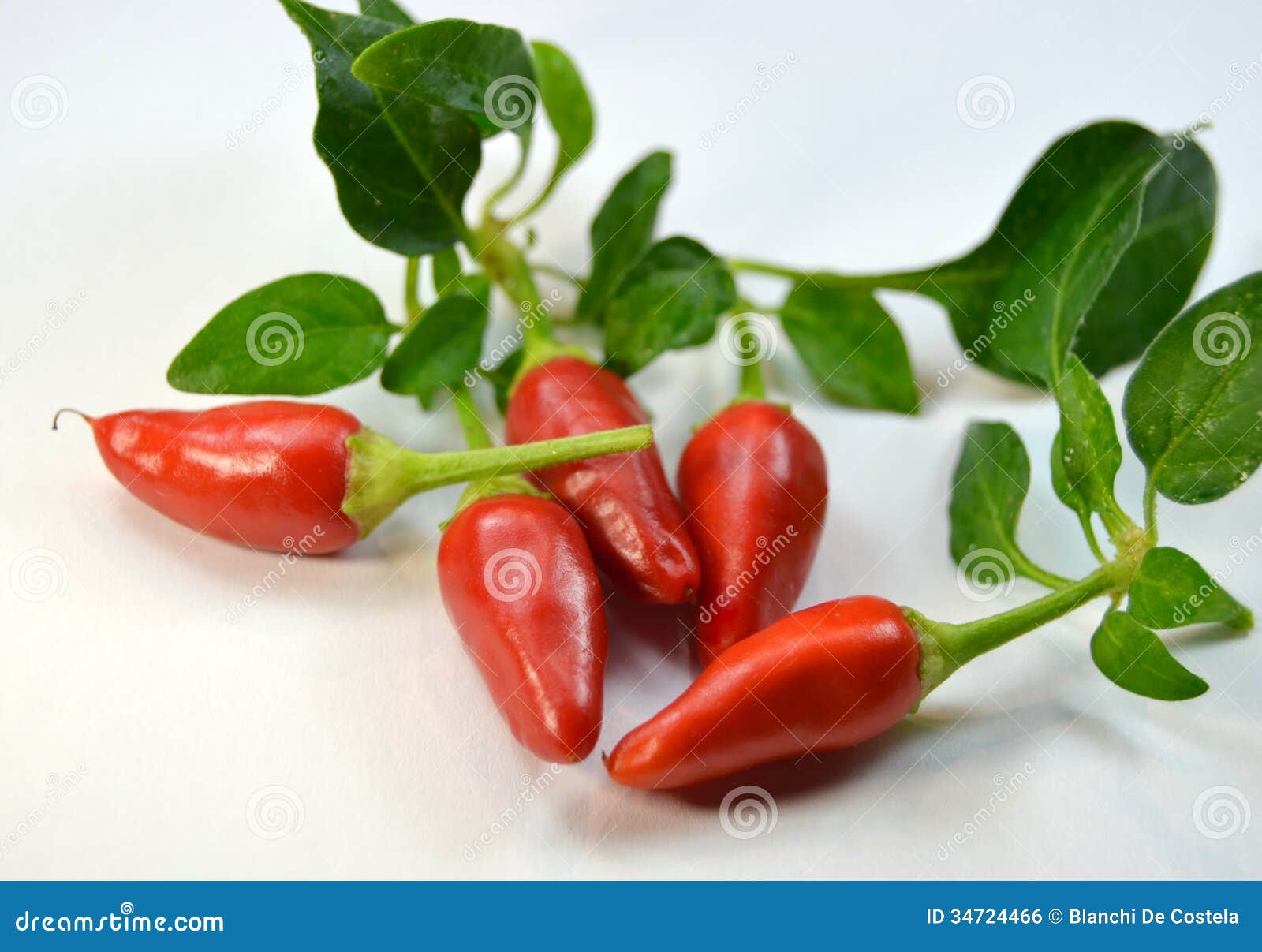 Small fresh hot peppers stock photo. Image of vegetable - 34724466