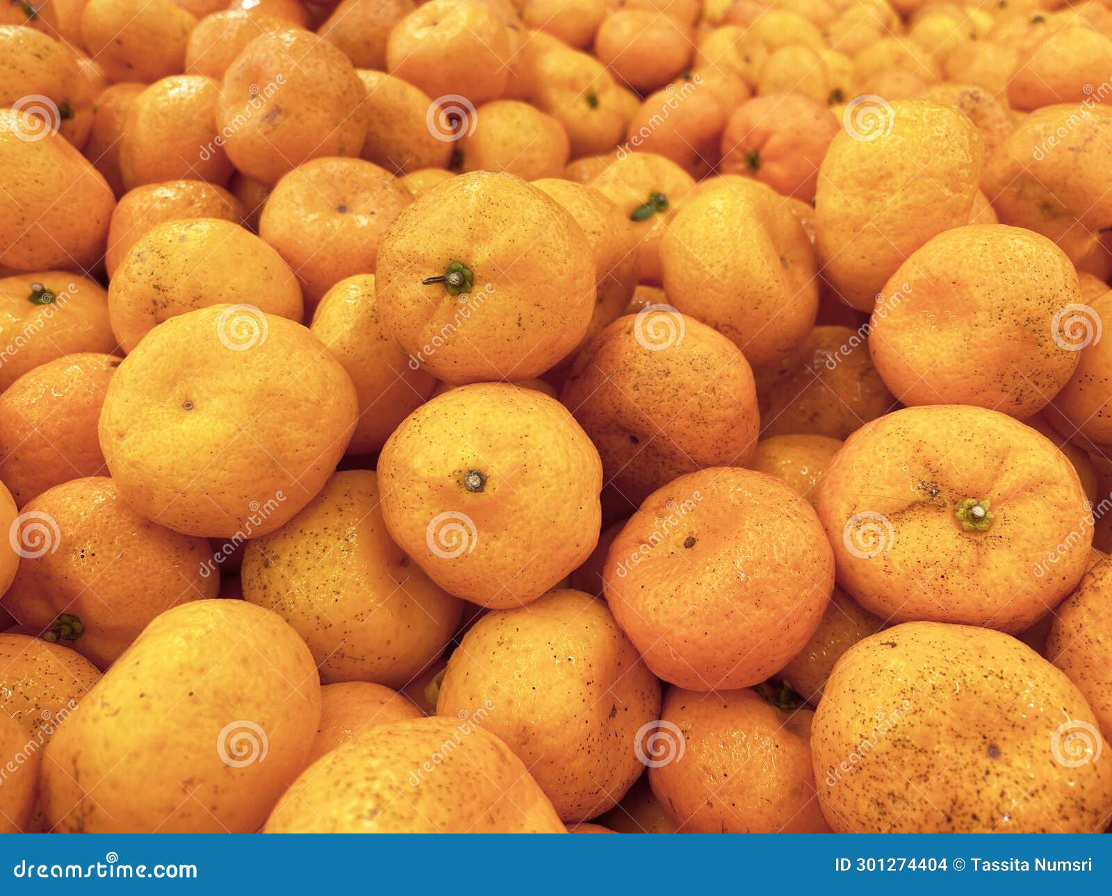 Small Fresh Sweet Oranges on the Traditional Fruit Market Stock Photo ...