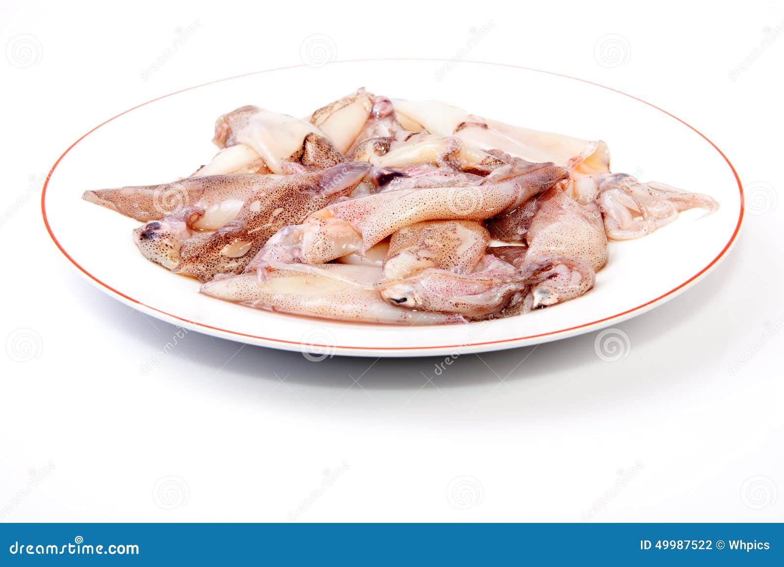 Small freshly squids stock photo. Image of fauna, nature - 49987522