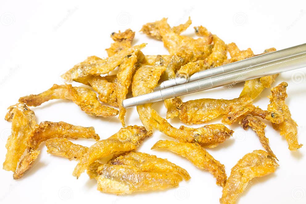 Small Fried fish stock photo. Image of delicious, small - 59070672