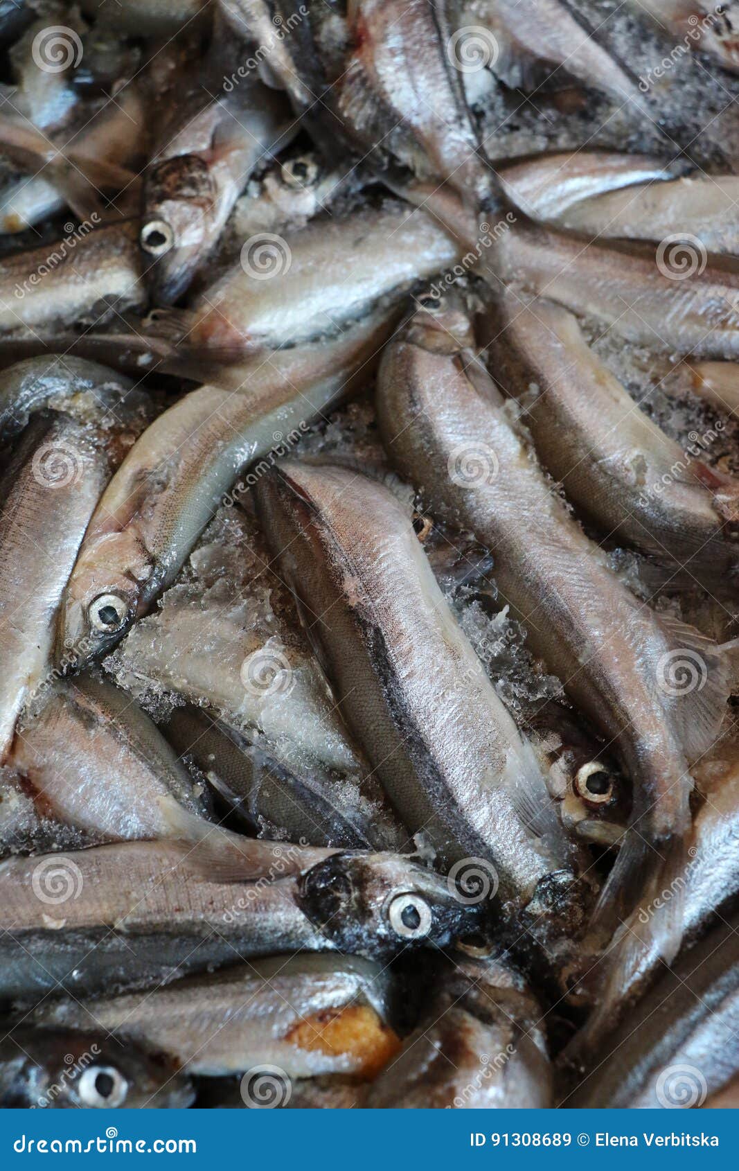 Small frozen fish stock image. Image of saving, business - 91308689