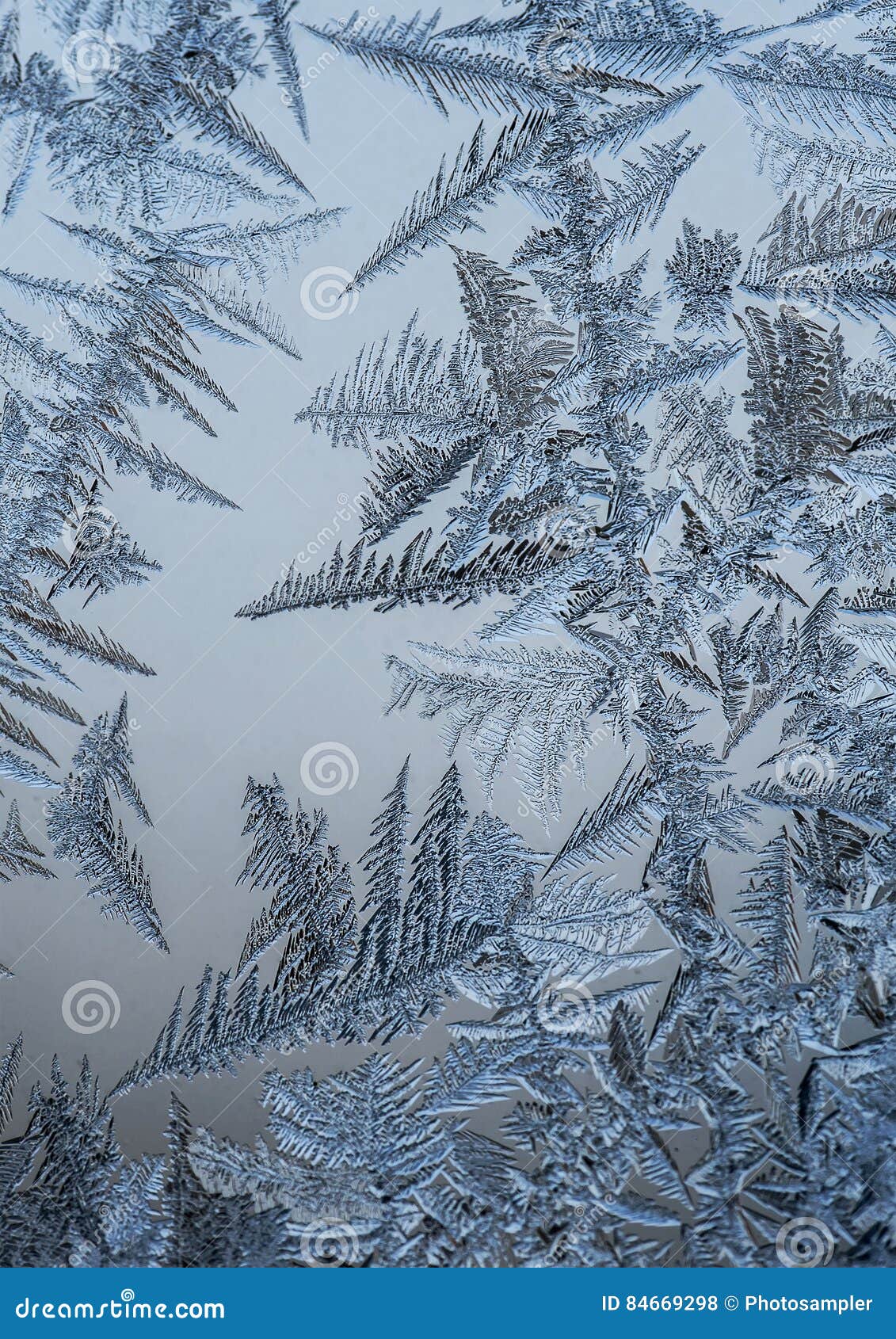 Small Frozen Ice Crystals Close Up Stock Photo - Image of background ...