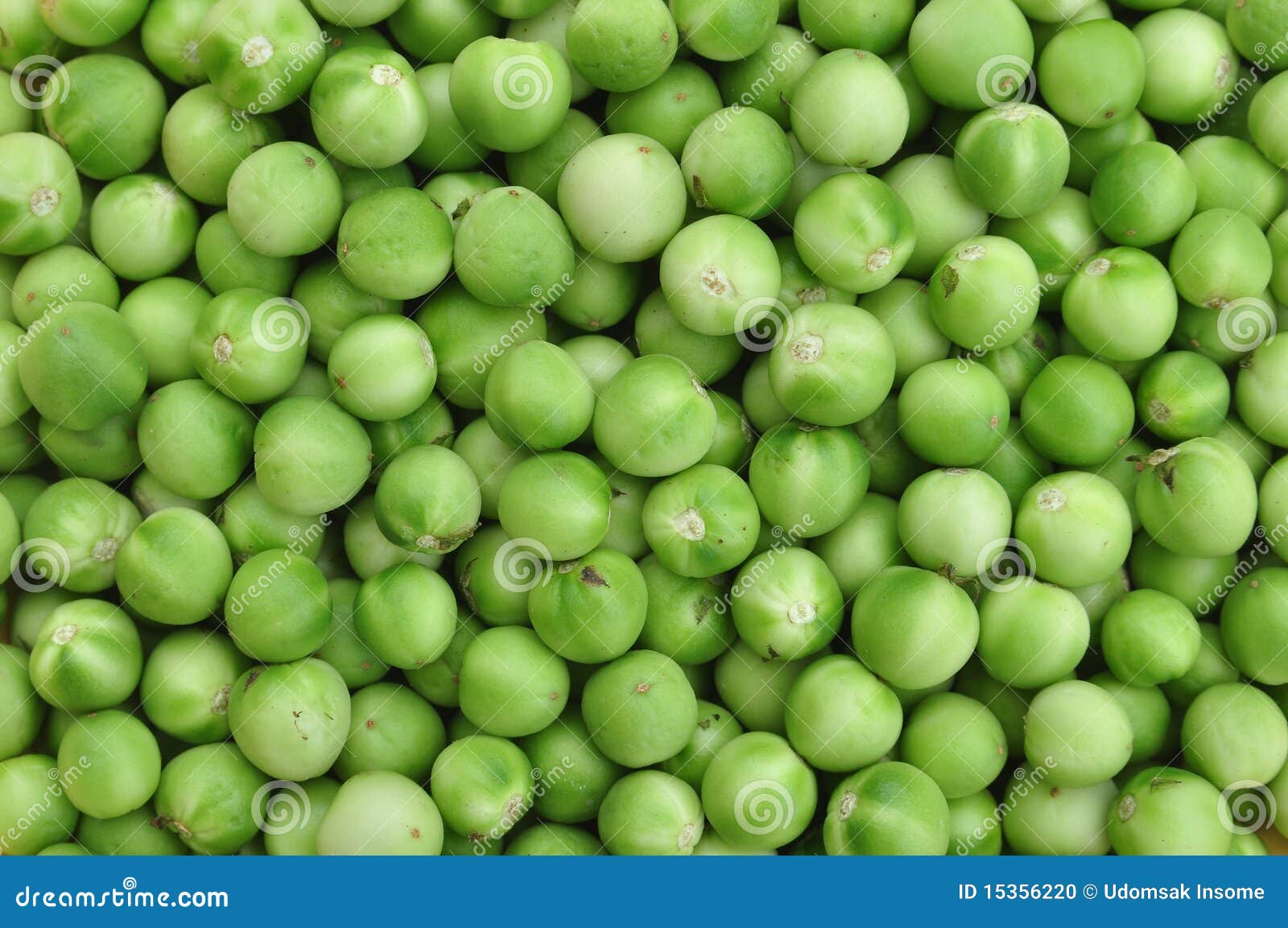 Small fruit stock photo. Image of farming, date, leaf - 15356220