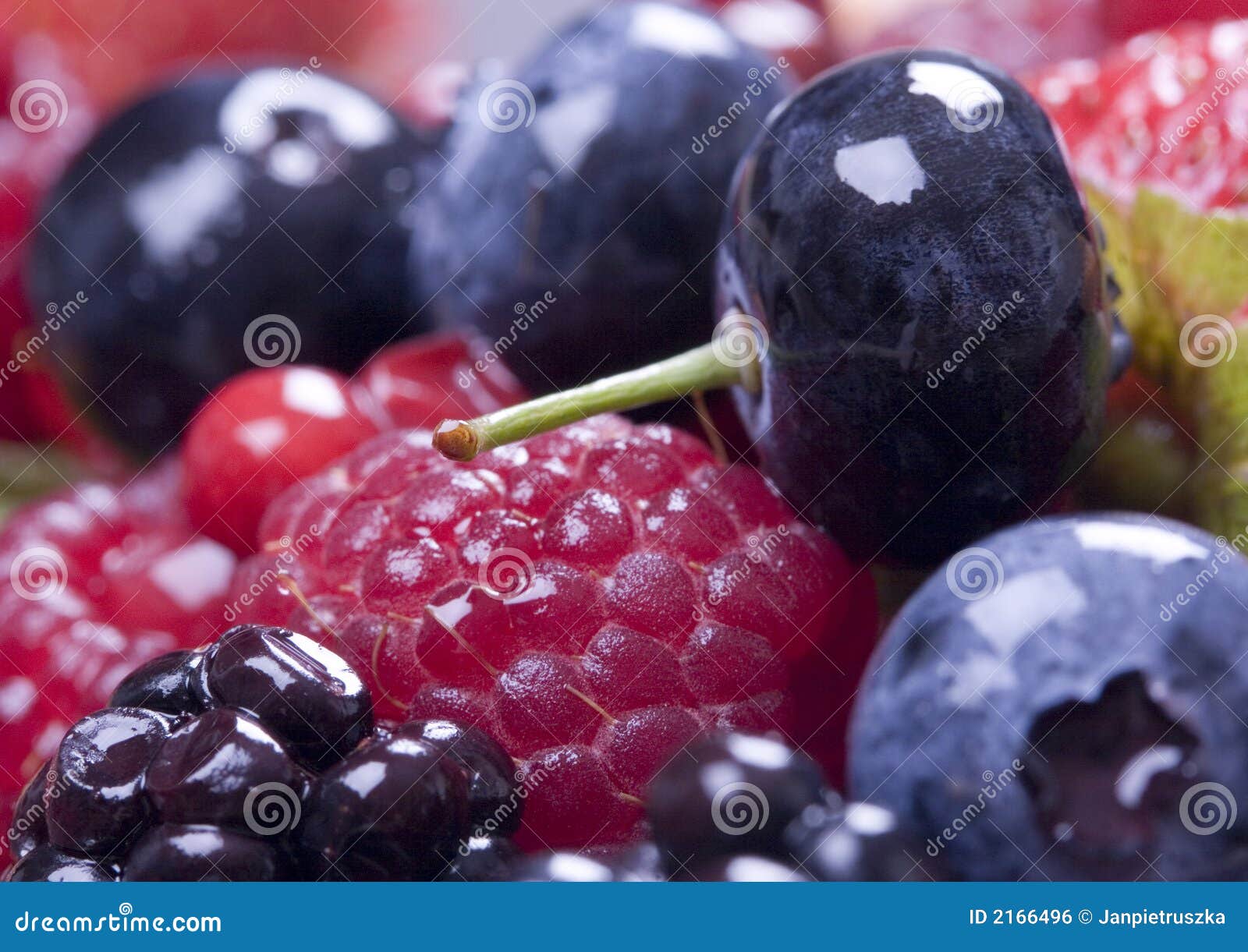 Small fruits stock photo. Image of bilberry, cranberry - 2166496