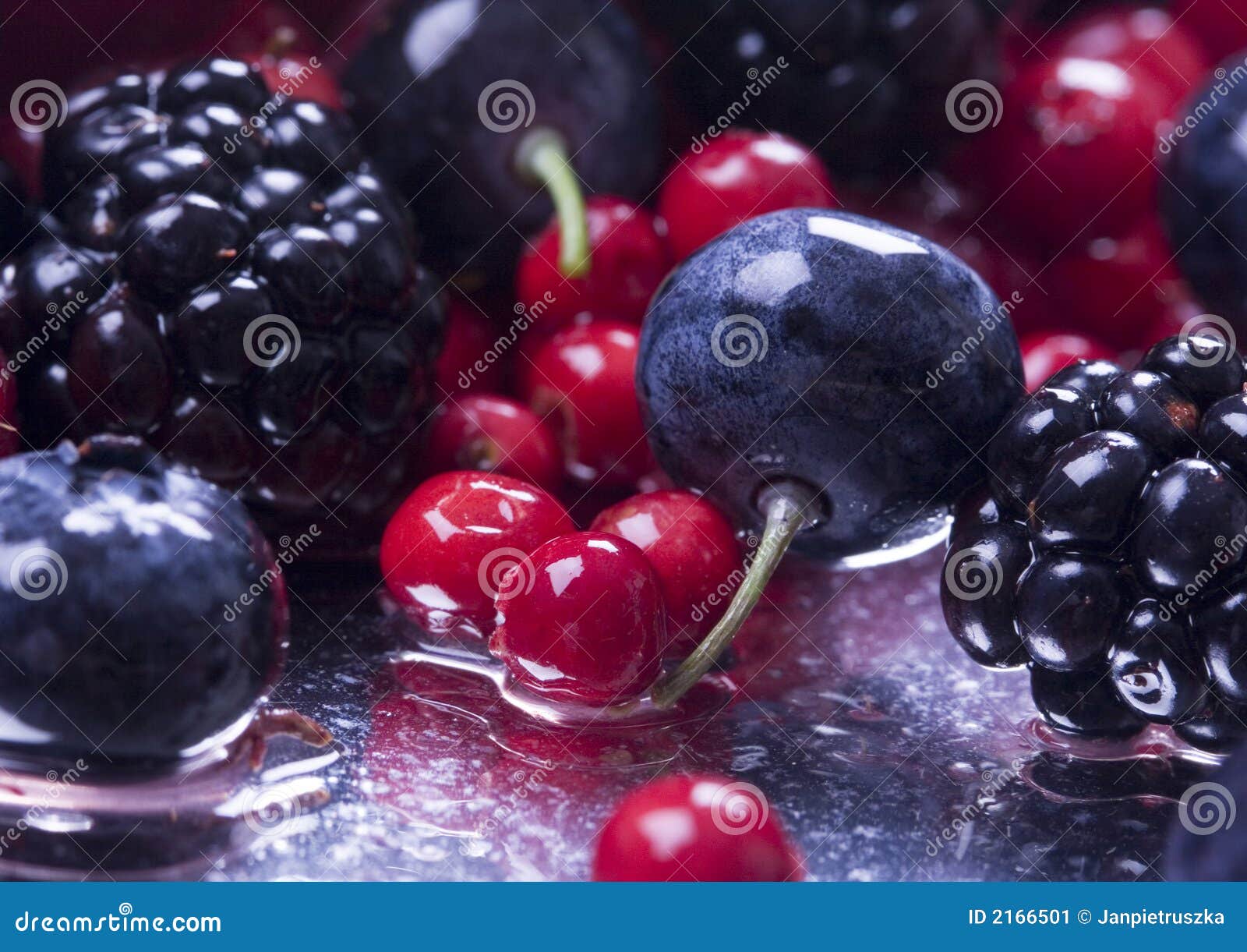 Small fruits stock image. Image of nutritions, cranberry - 2166501