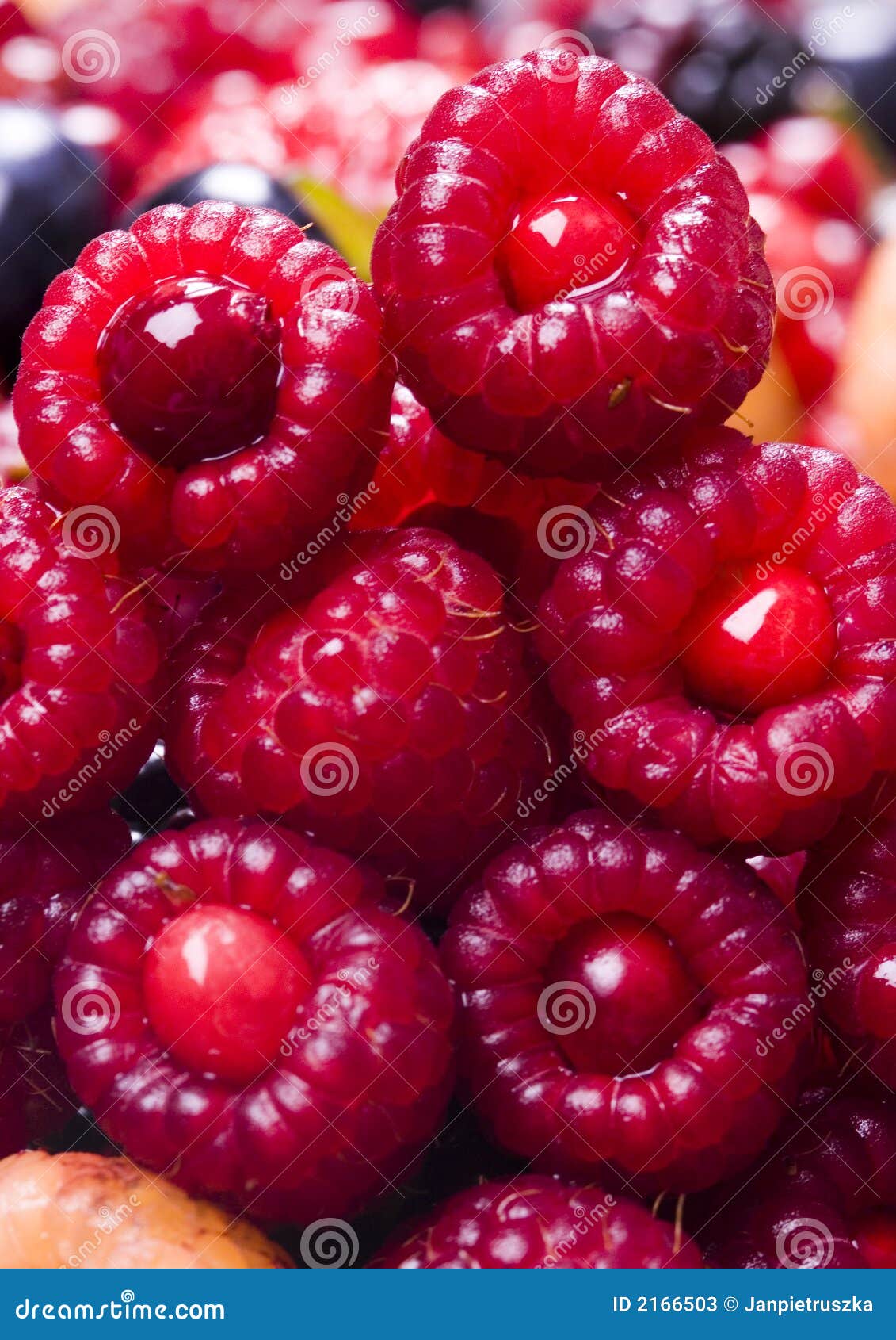 Small fruits stock image. Image of sweet, colour, healthy - 2166503