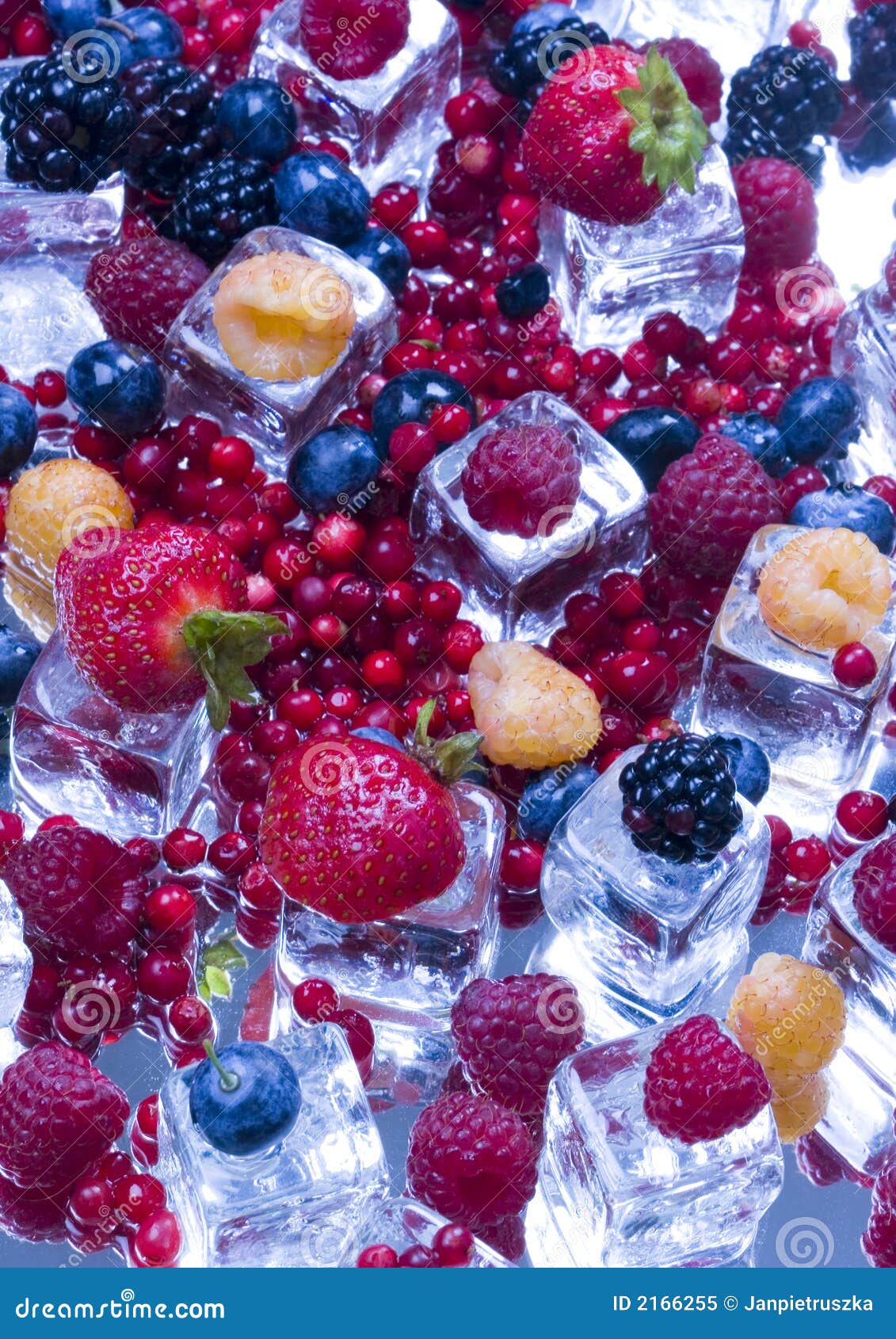 Small Fruits Ice Cubes Stock Photos - Free & Royalty-Free Stock Photos ...