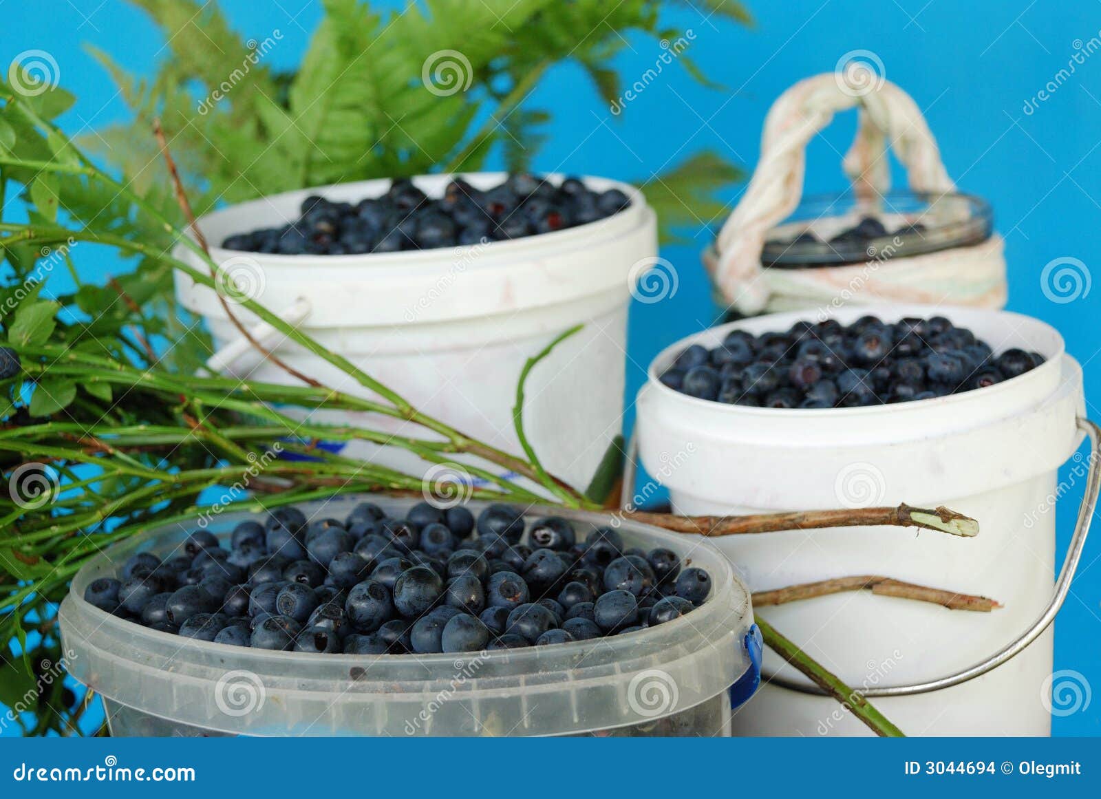 The small full buckets stock photo. Image of full, yield - 3044694
