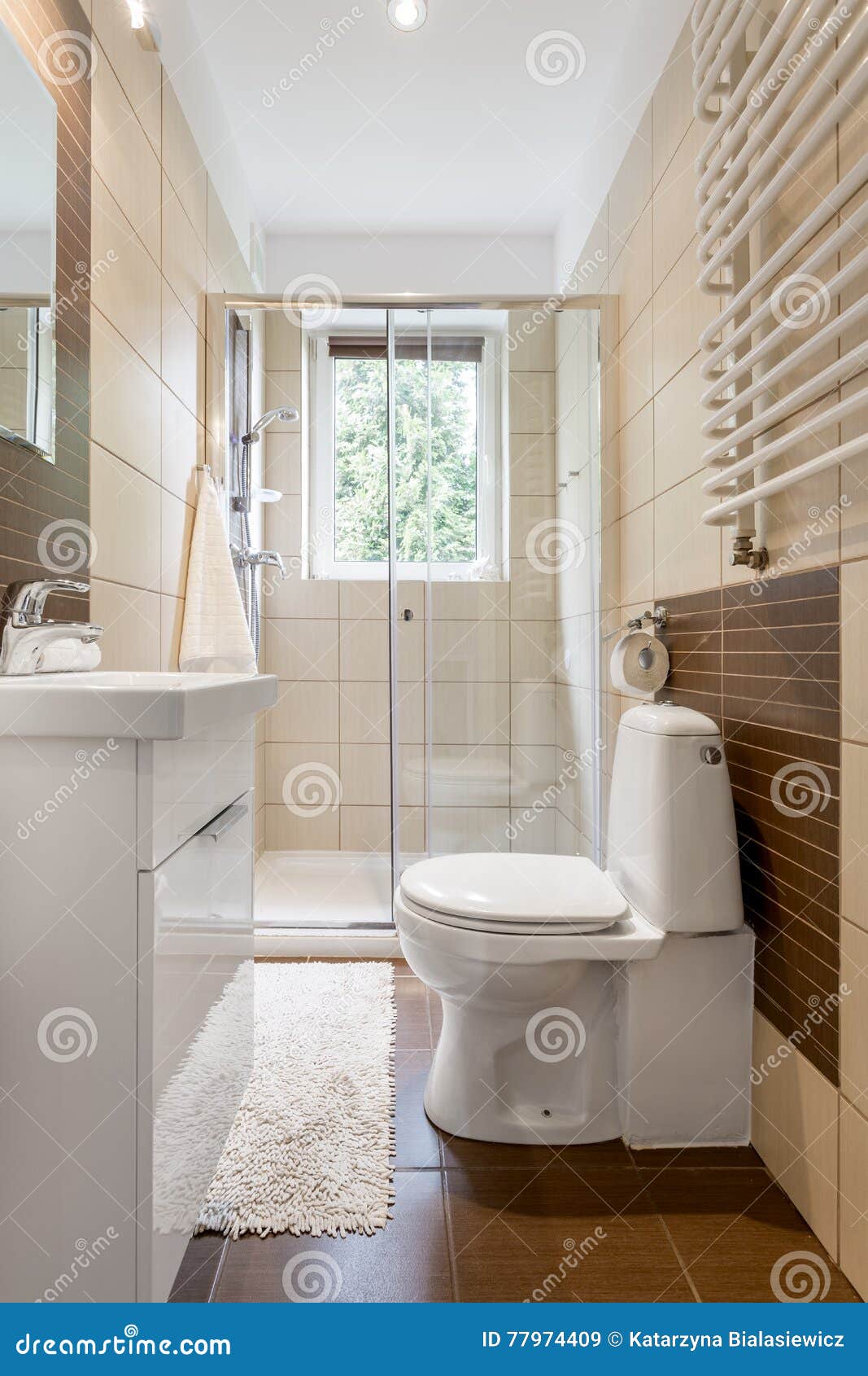 Small and Functional Bathroom Interior Stock Image - Image of home ...