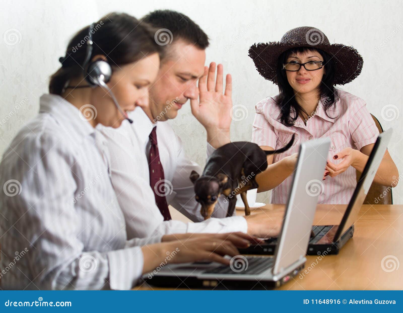 Small Funny Dog on the Office Desk Stock Photo - Image of desk, funny ...