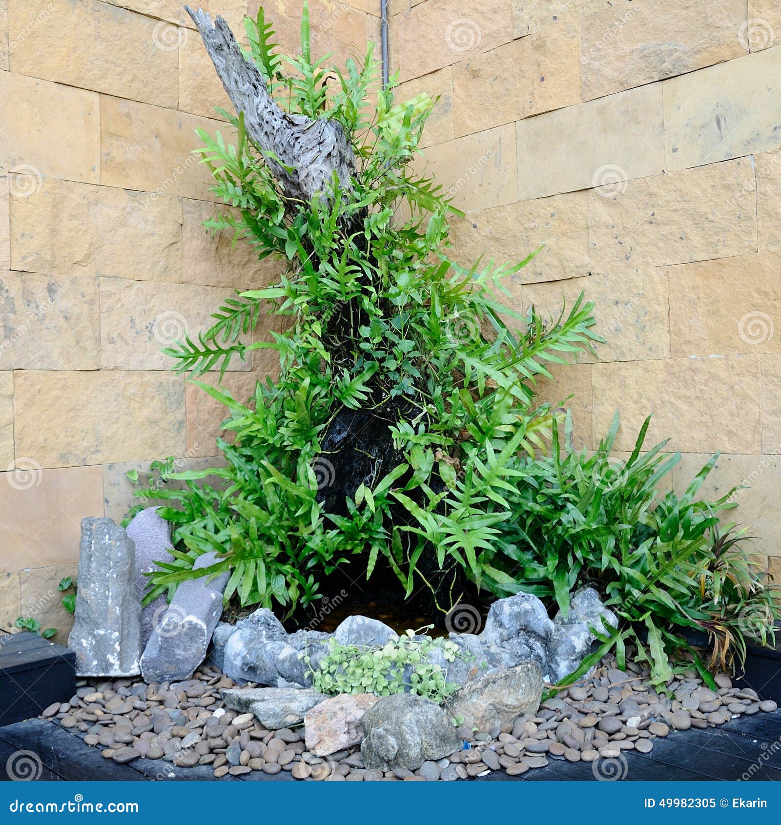 Small Garden in Corner of Building. Stock Image - Image of mini, garden ...