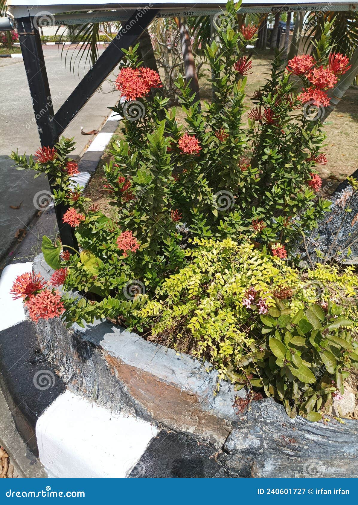 Small Garden in Front of the Security Post Stock Image - Image of ...