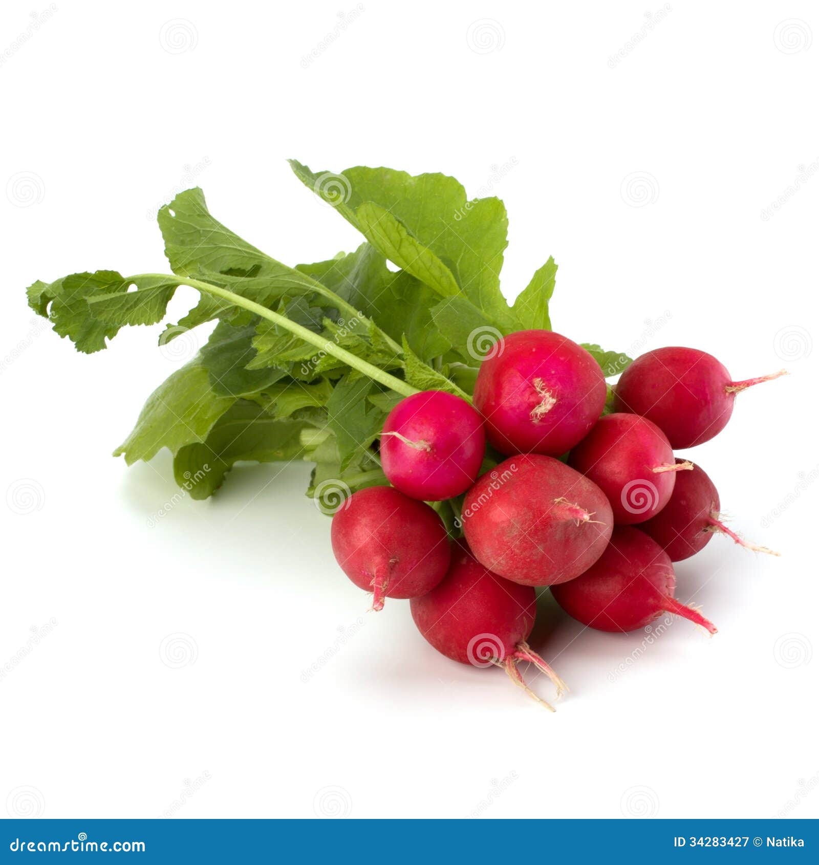 Small garden radish stock image. Image of garden, ripe - 34283427