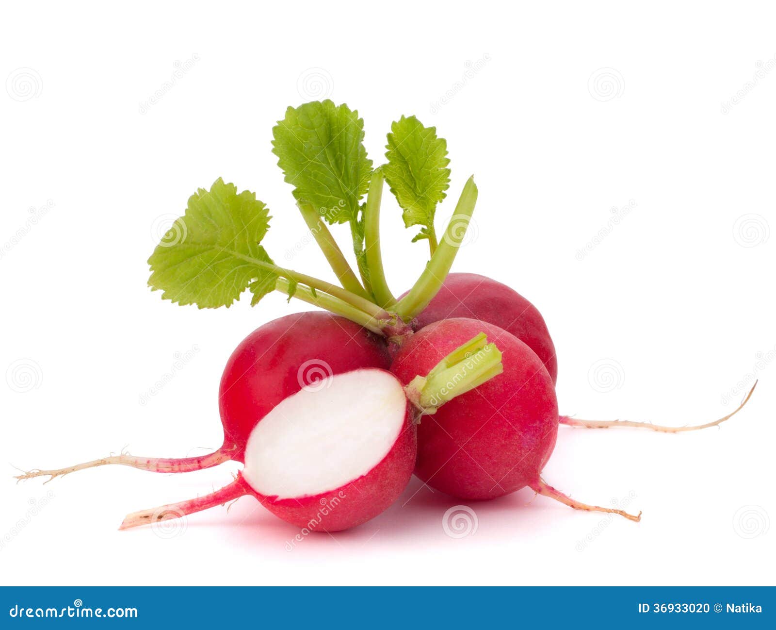 Small garden radish stock photo. Image of background - 36933020