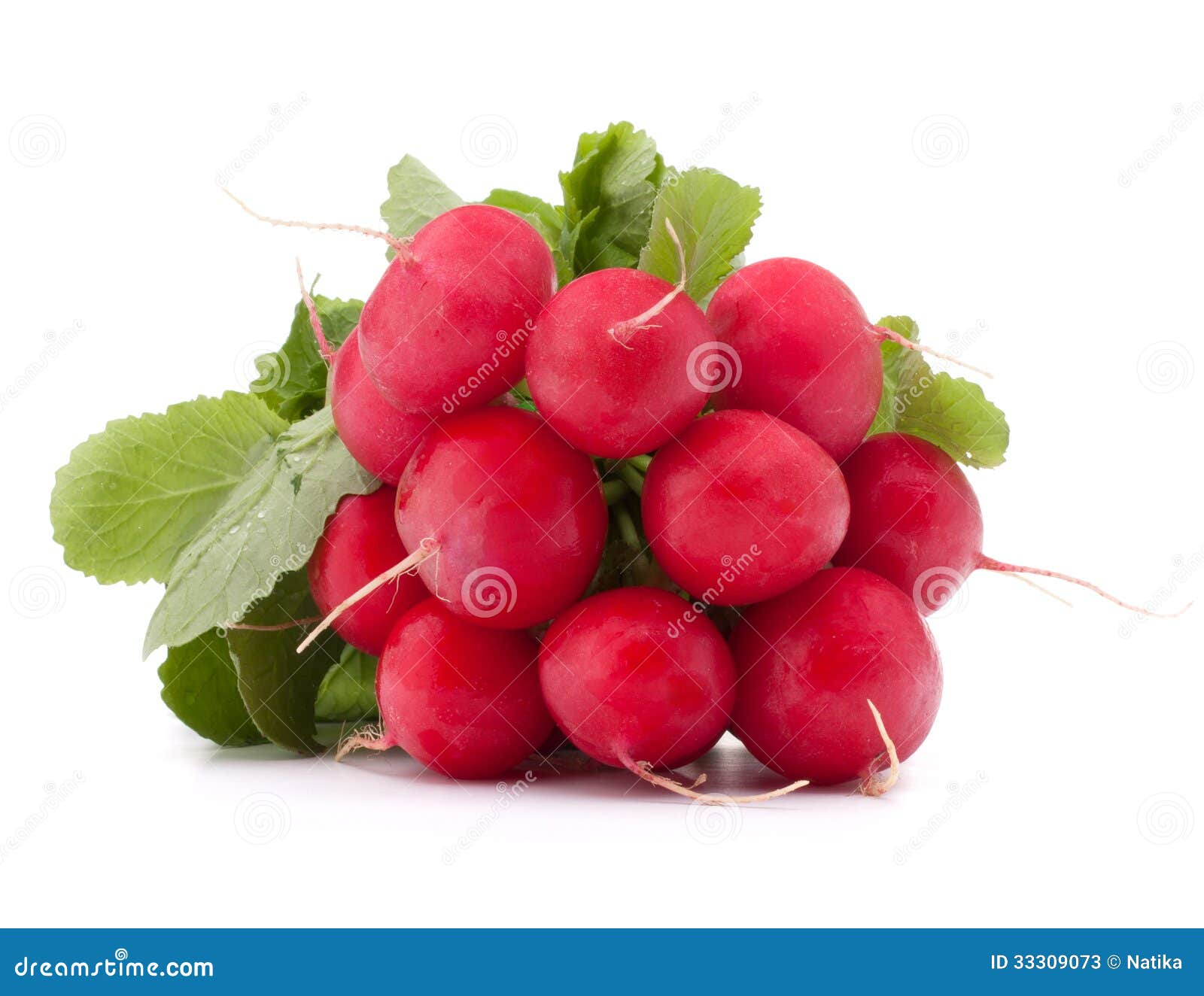 Small Garden Radish with Leaves Stock Image - Image of nutrition, food ...