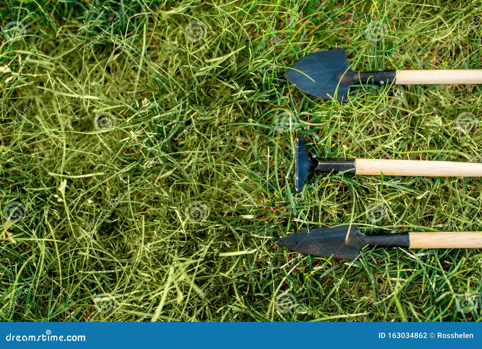 Garden tools on the grass stock photo. Image of rake - 163034862