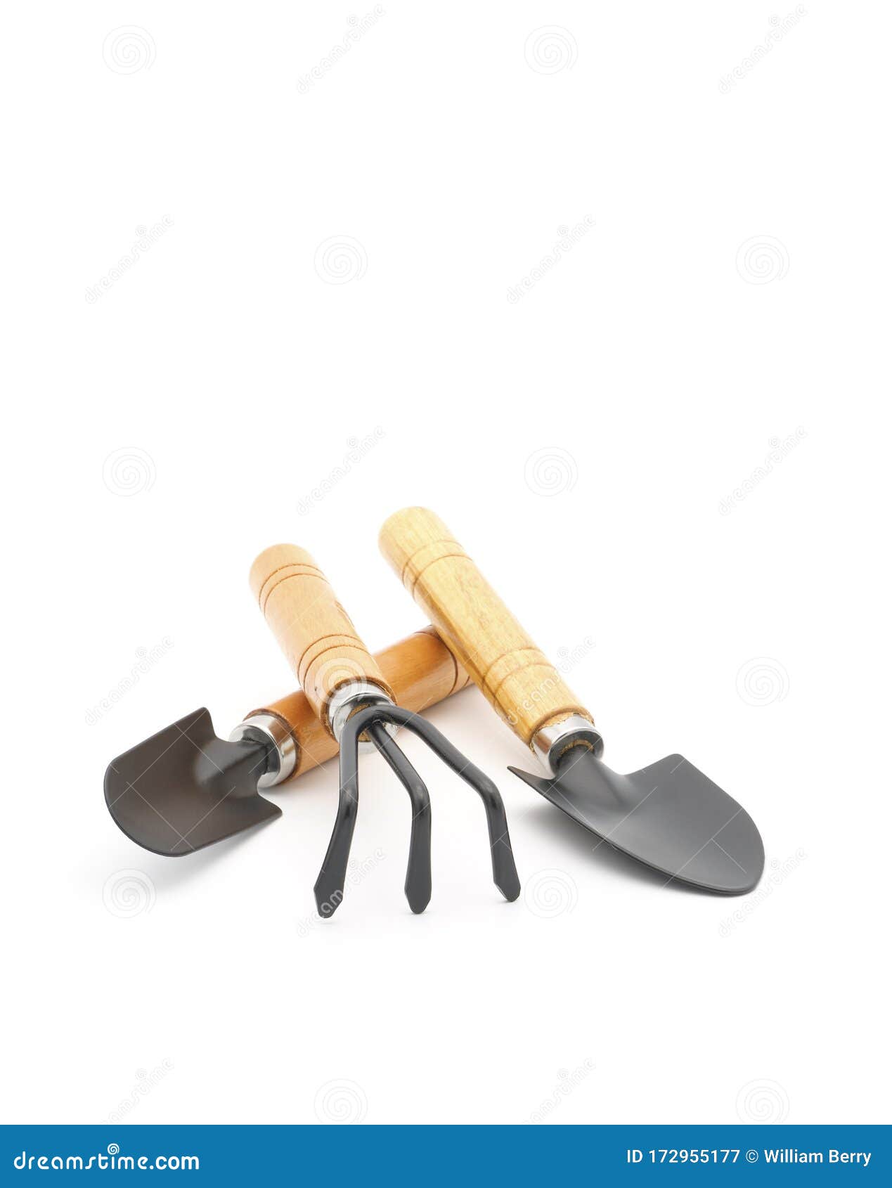 Small Garden Tools stock image. Image of horticulture - 172955177