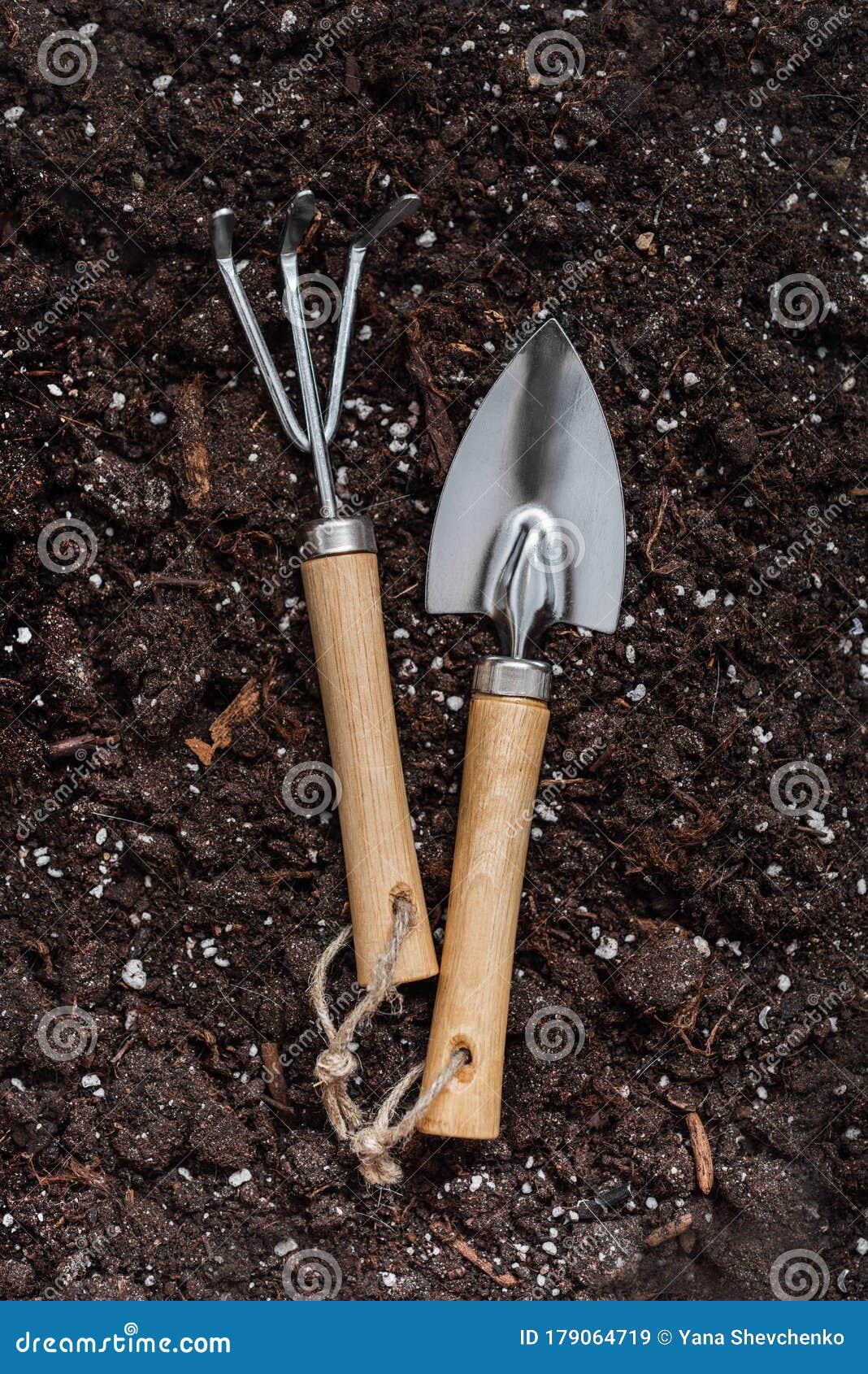 Small garden tools on soil stock image. Image of botany - 179064719