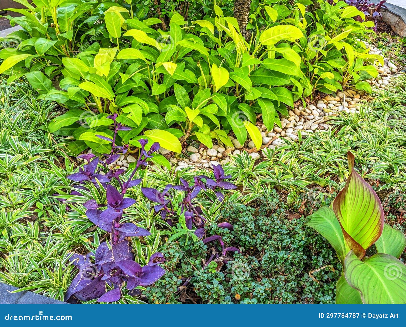 Small Garden with Various Types of Plants Stock Image - Image of types ...