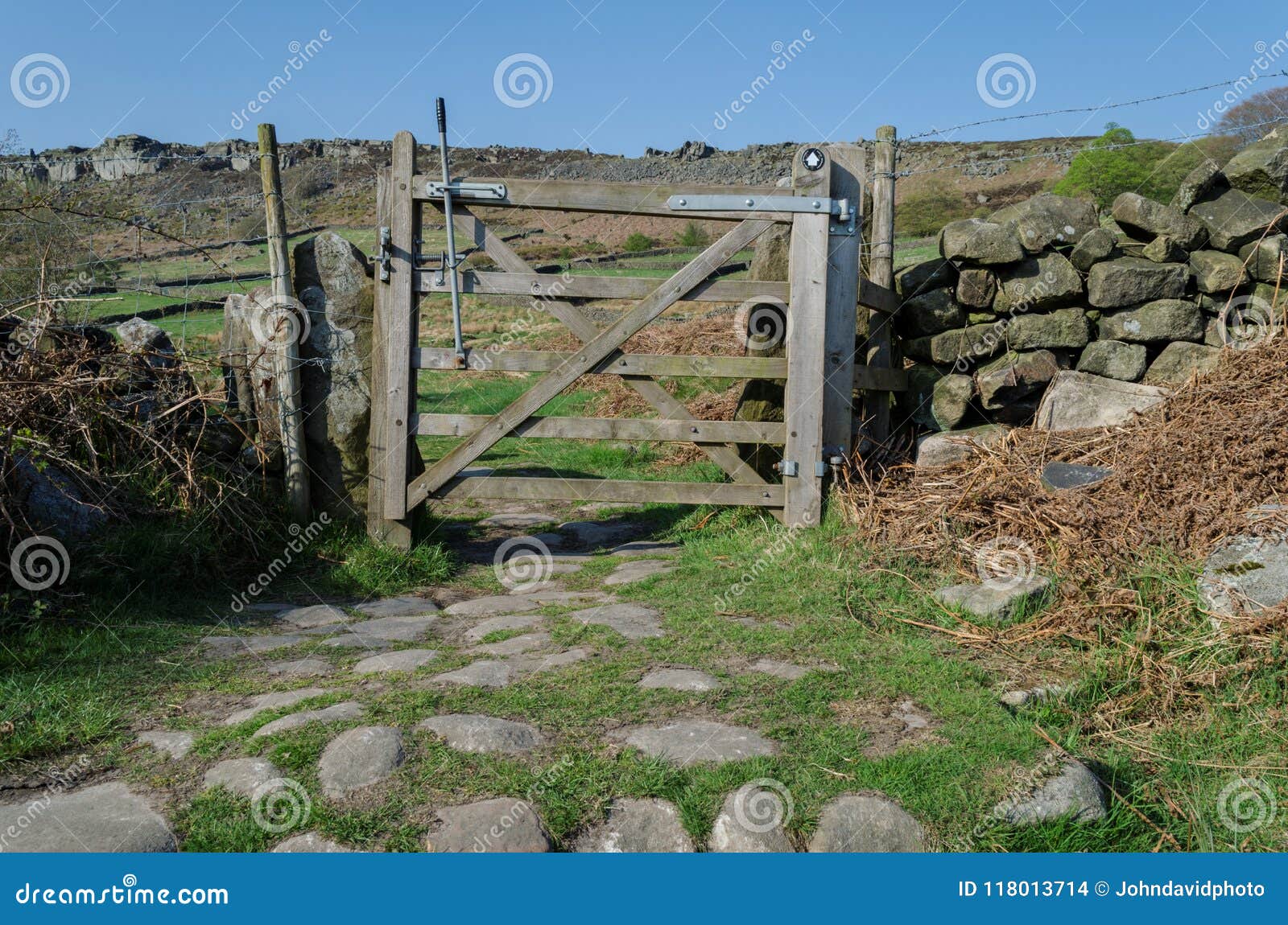 A gate in the wall stock photo. Image of wood, countryside - 118013714
